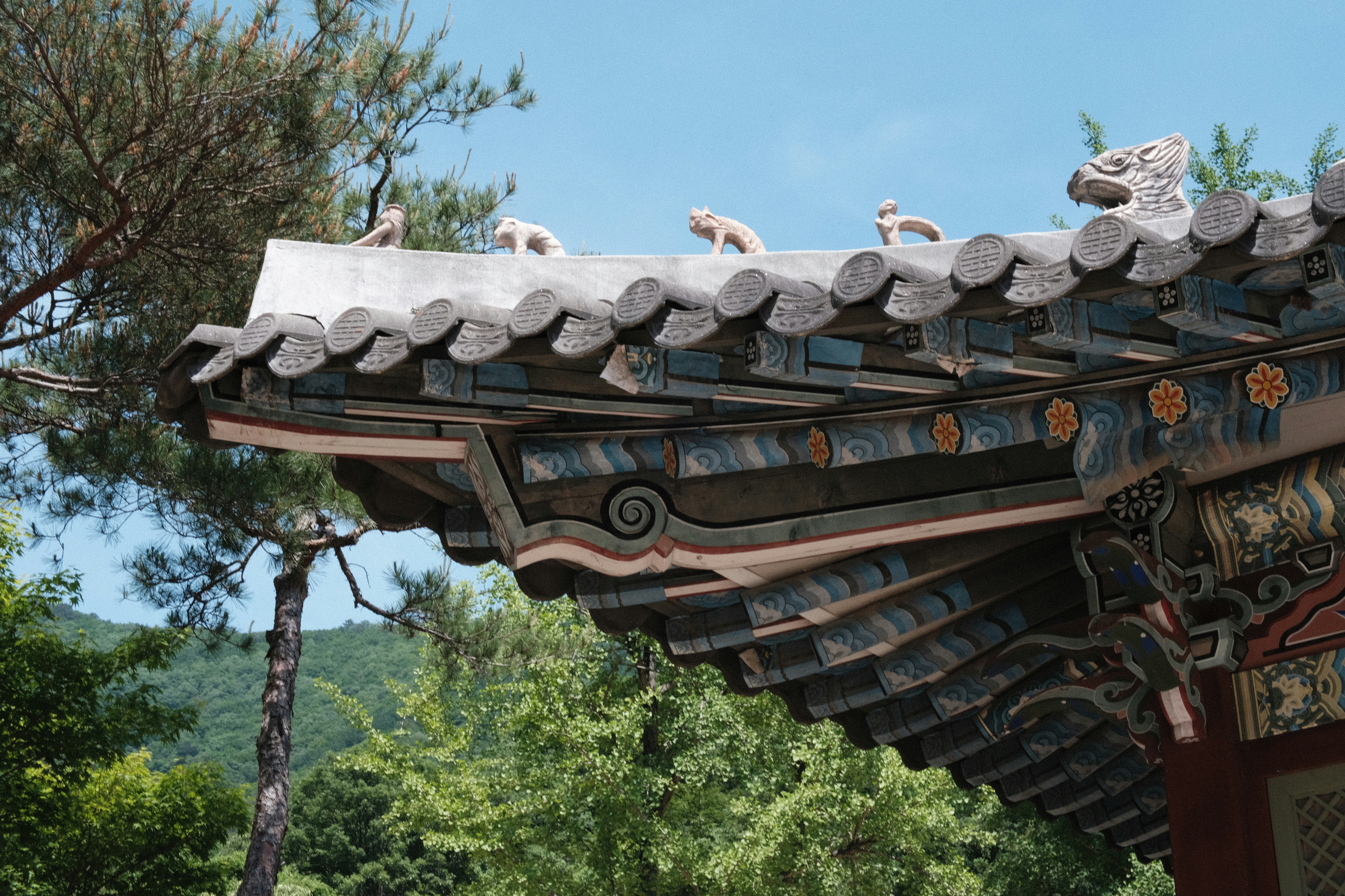 Carved Ceremonial Roofline: Dragon-guarded eaves in a Korean temple