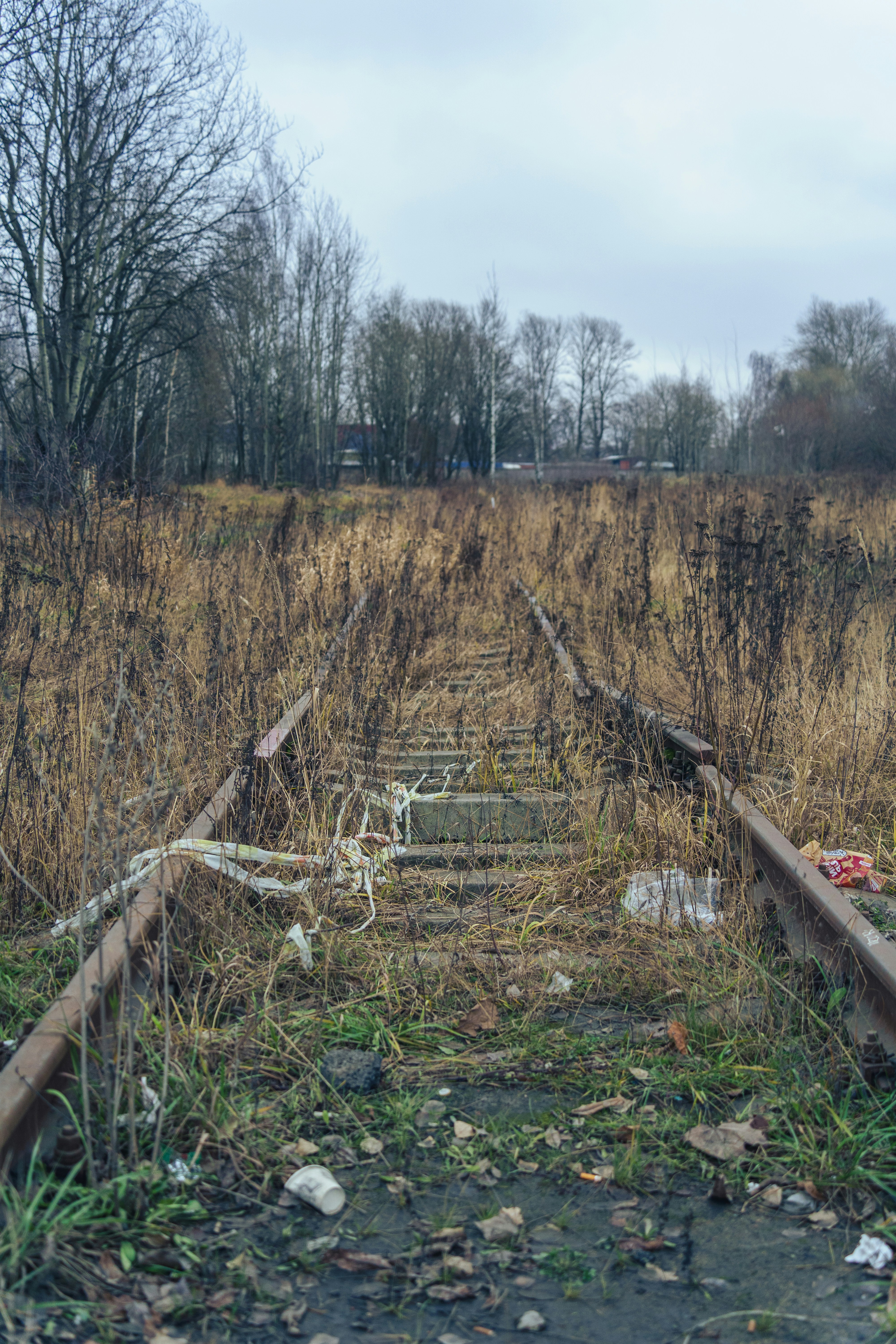 Overgrown Freight: Neglected Railway Winding Through Autumn Field