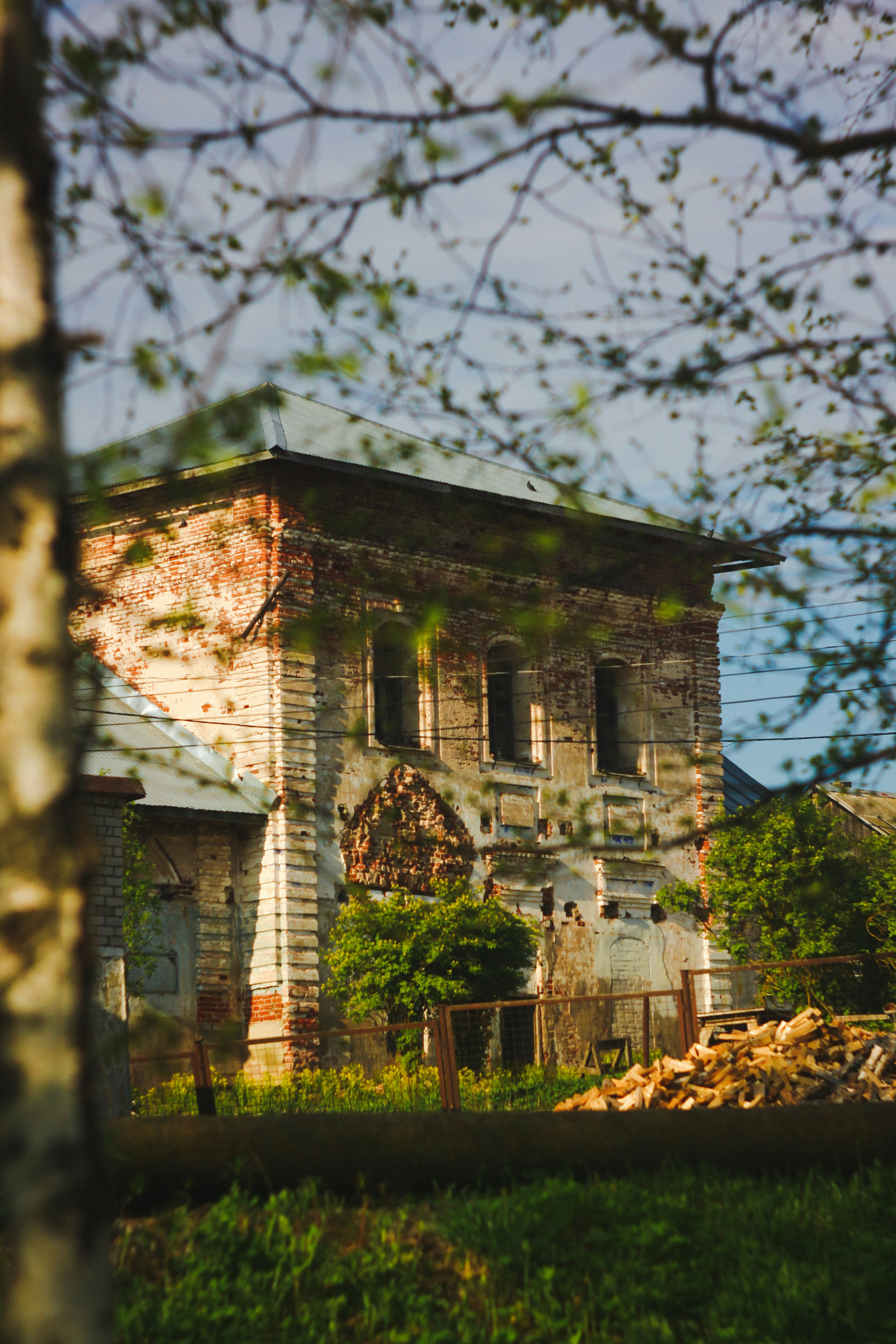 Weathered brick manor crowned by sunlit ivy and a tangle of branches