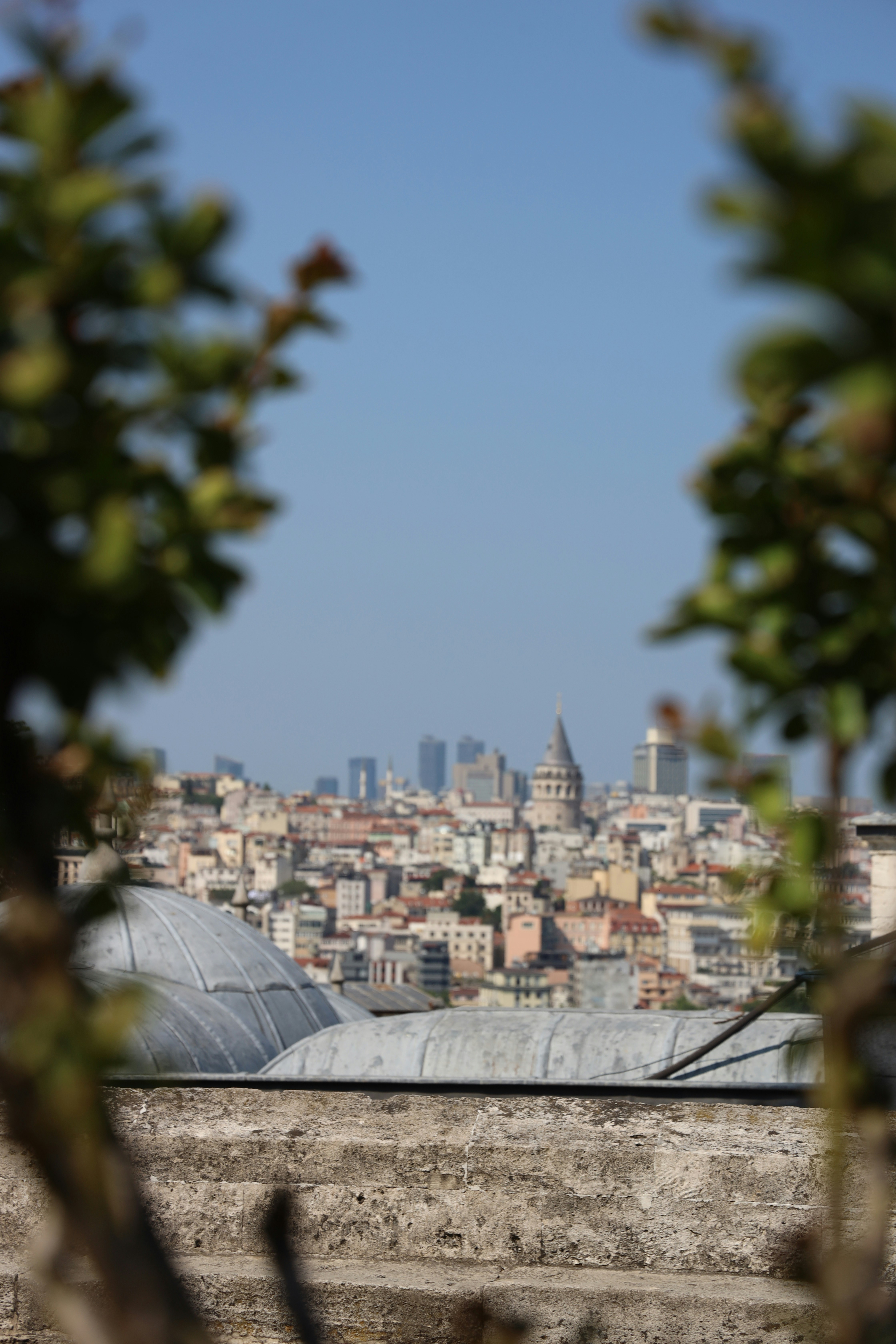 Cityscape Framed by Foliage: Dome Silhouettes Over a Concrete Rooftop
