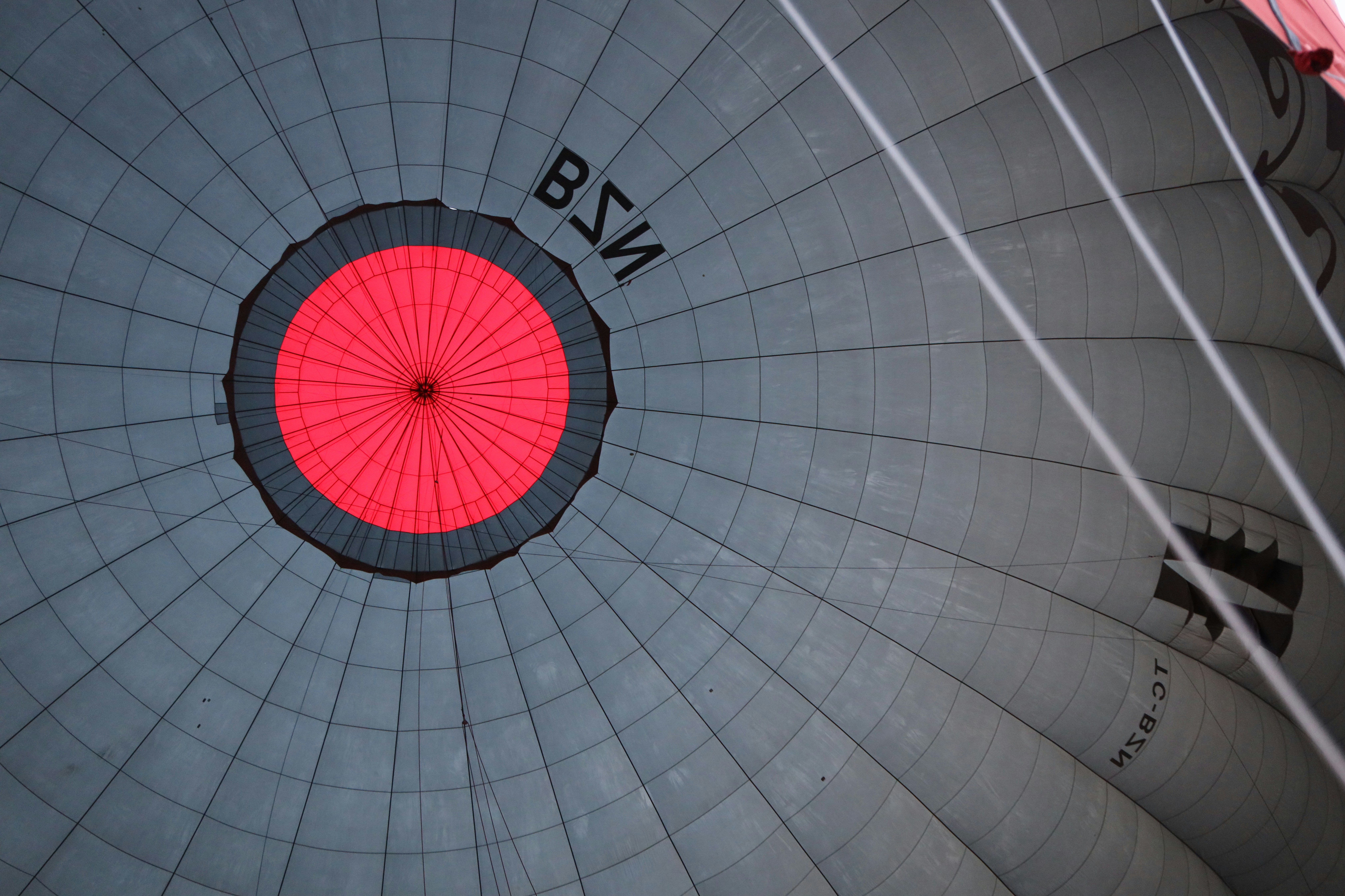 Red-Center Anthem: The Violet-Hued Silhouette of a Balloon's Innards