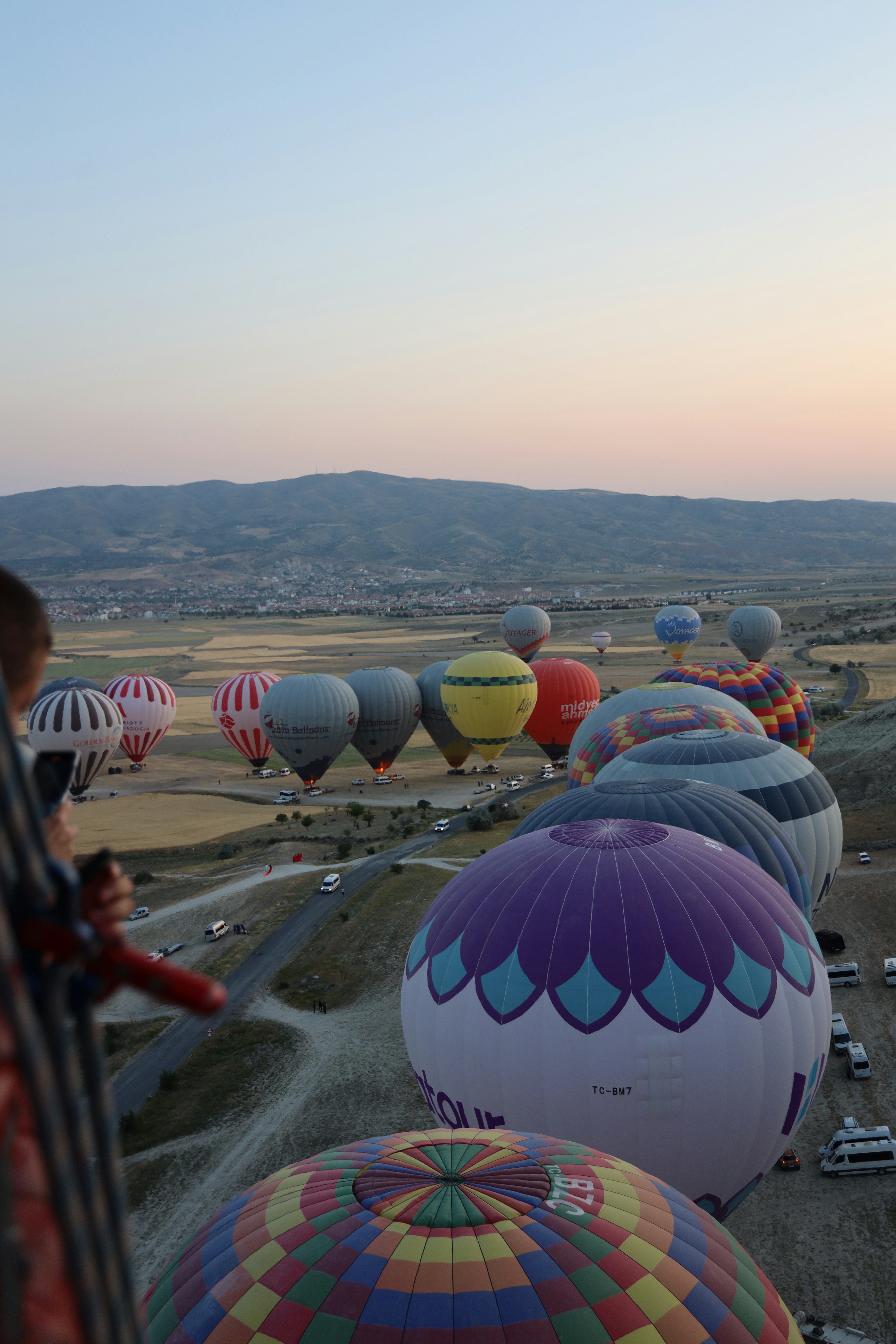 A Sea of Skyward Giants: Balloons Ready to Lift