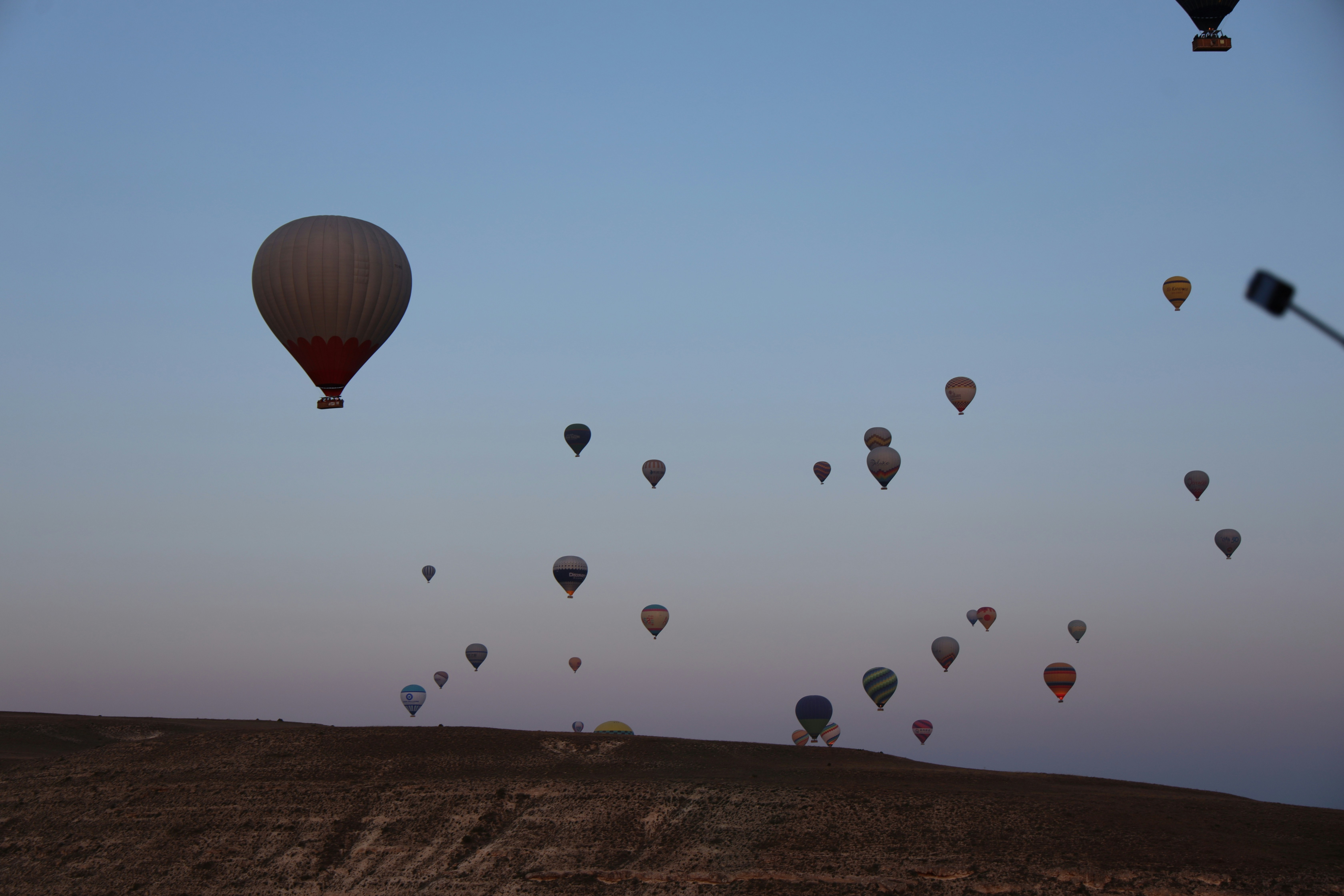 Skyward Parade: A Field of Balloons at Dusk