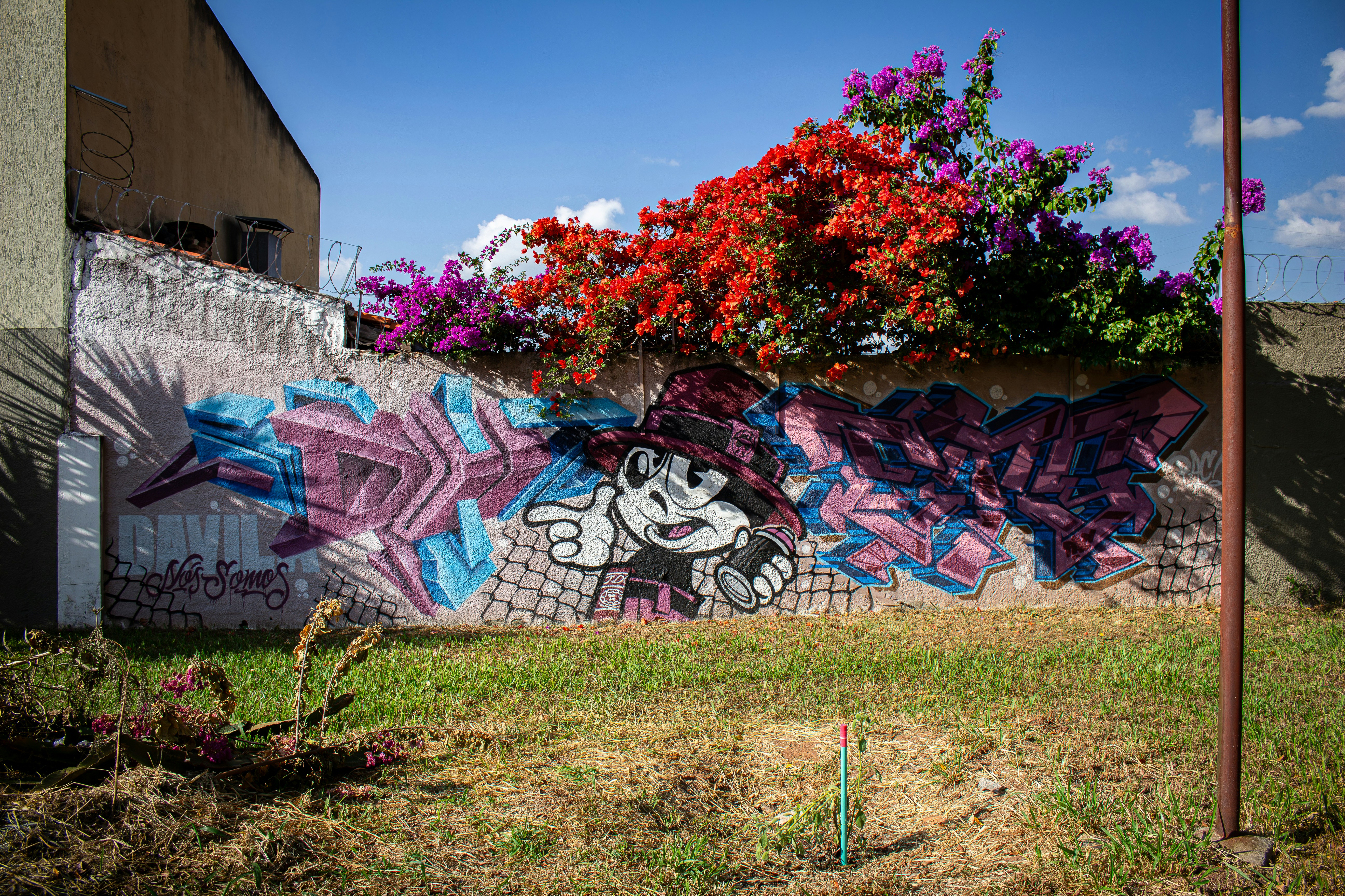 Graffiti mural with cartoon character framed by pink bougainvillea