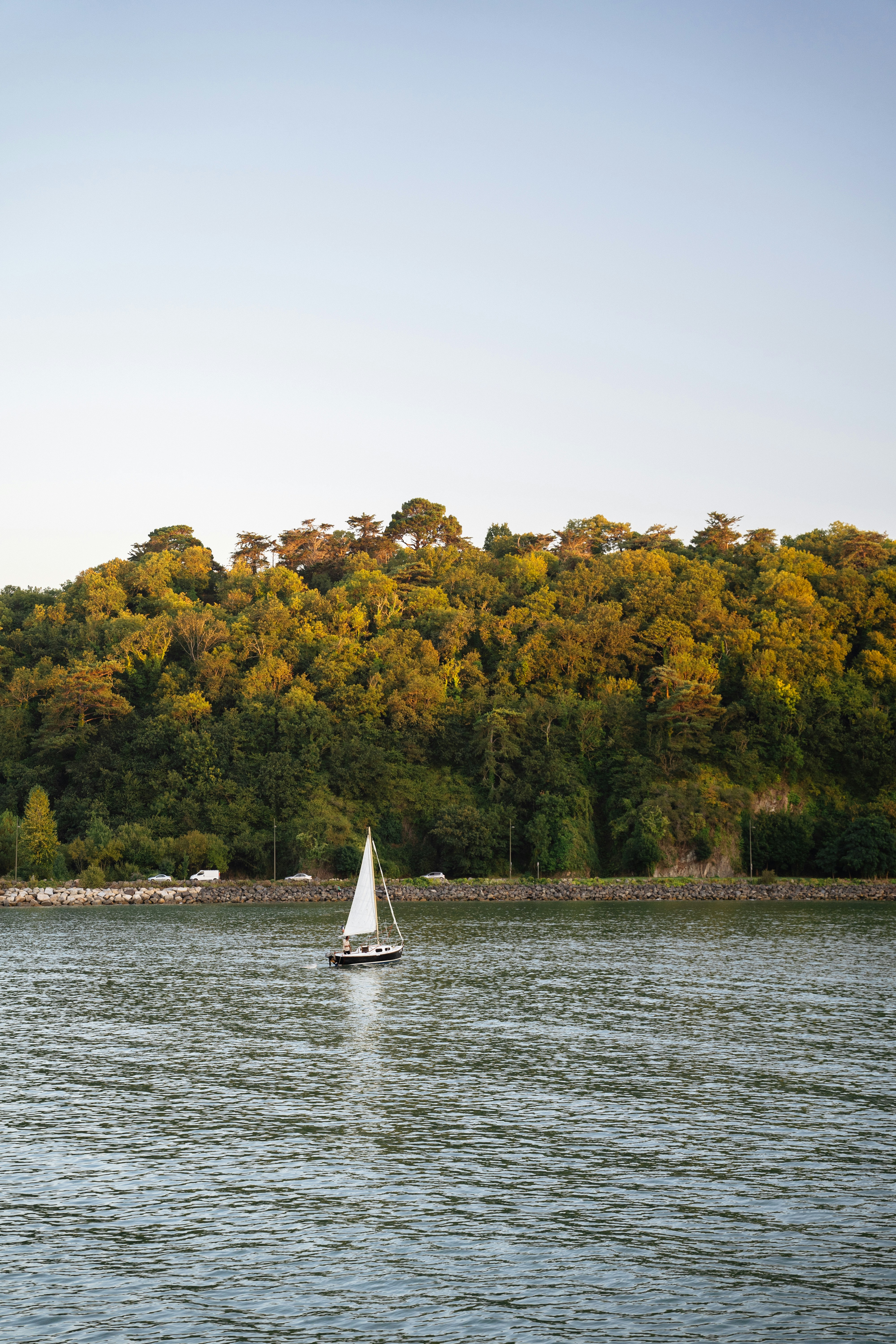 Sailboat as Quiet Sentinel Over a Dappled Autumn Lake