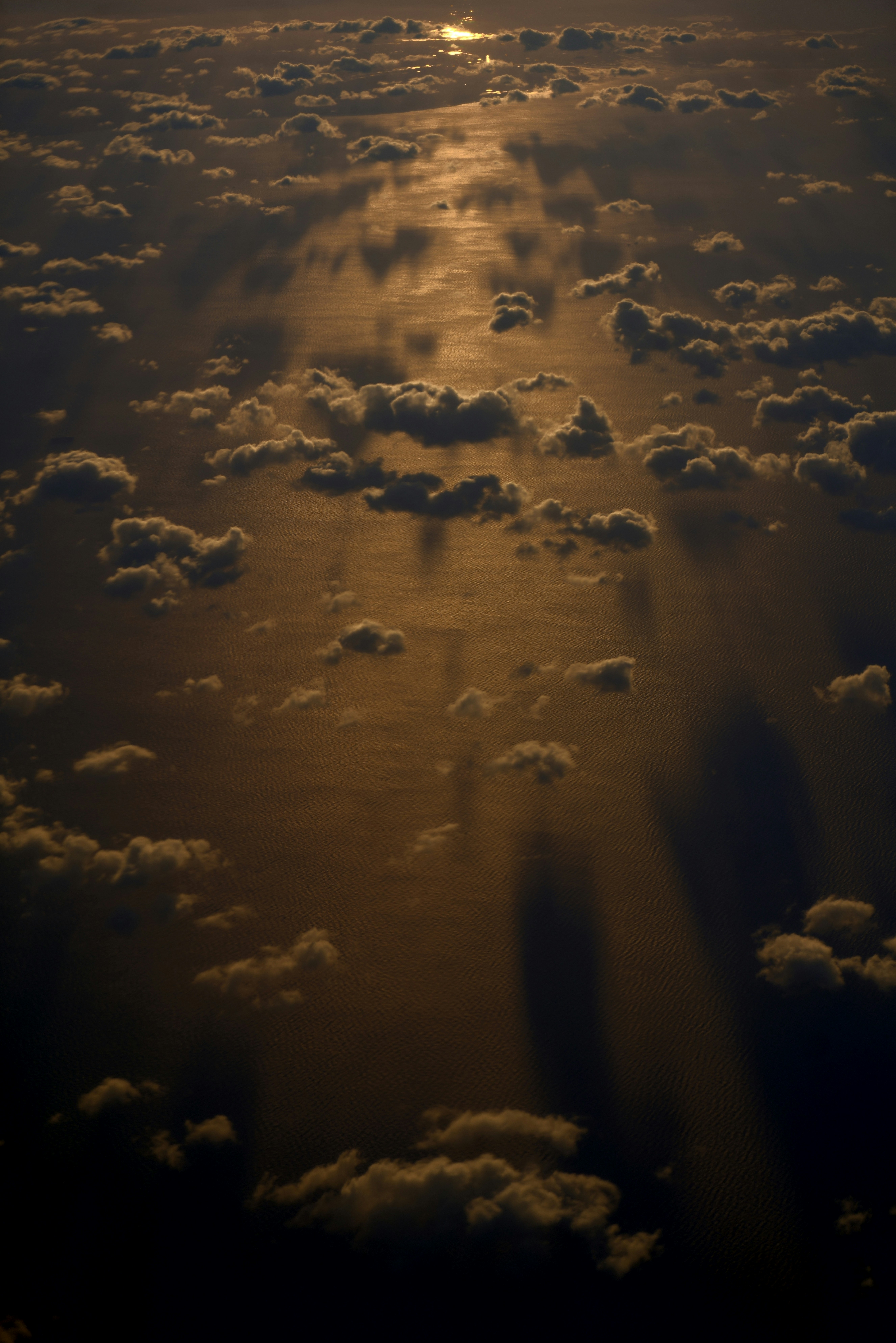 Sunlit Sea of Clouds: Golden Rift from Above