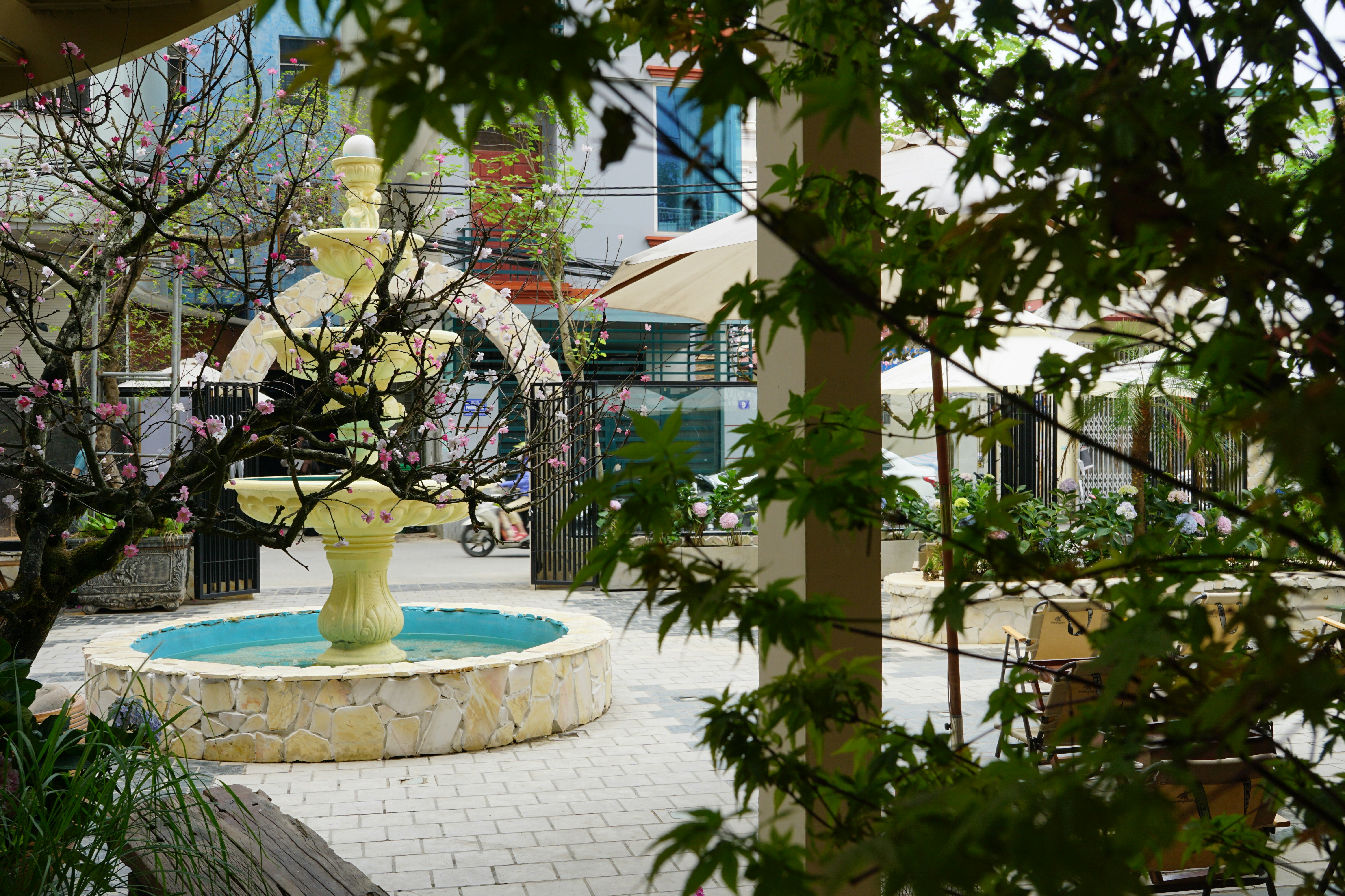 Courtyard Fountain framed by foliage under a shaded pergola