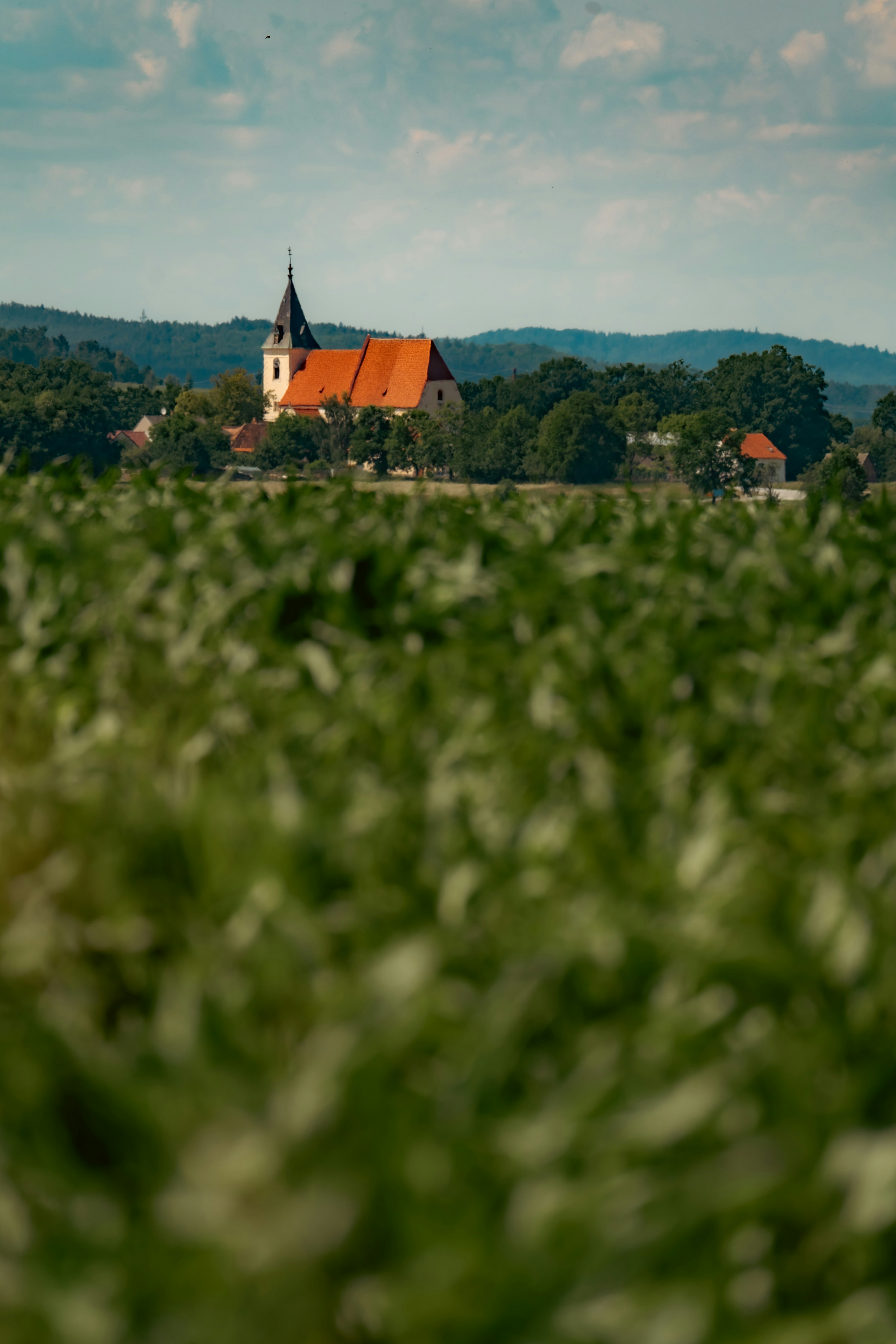 Stone Chapel Silhouette Above a Velvet Field