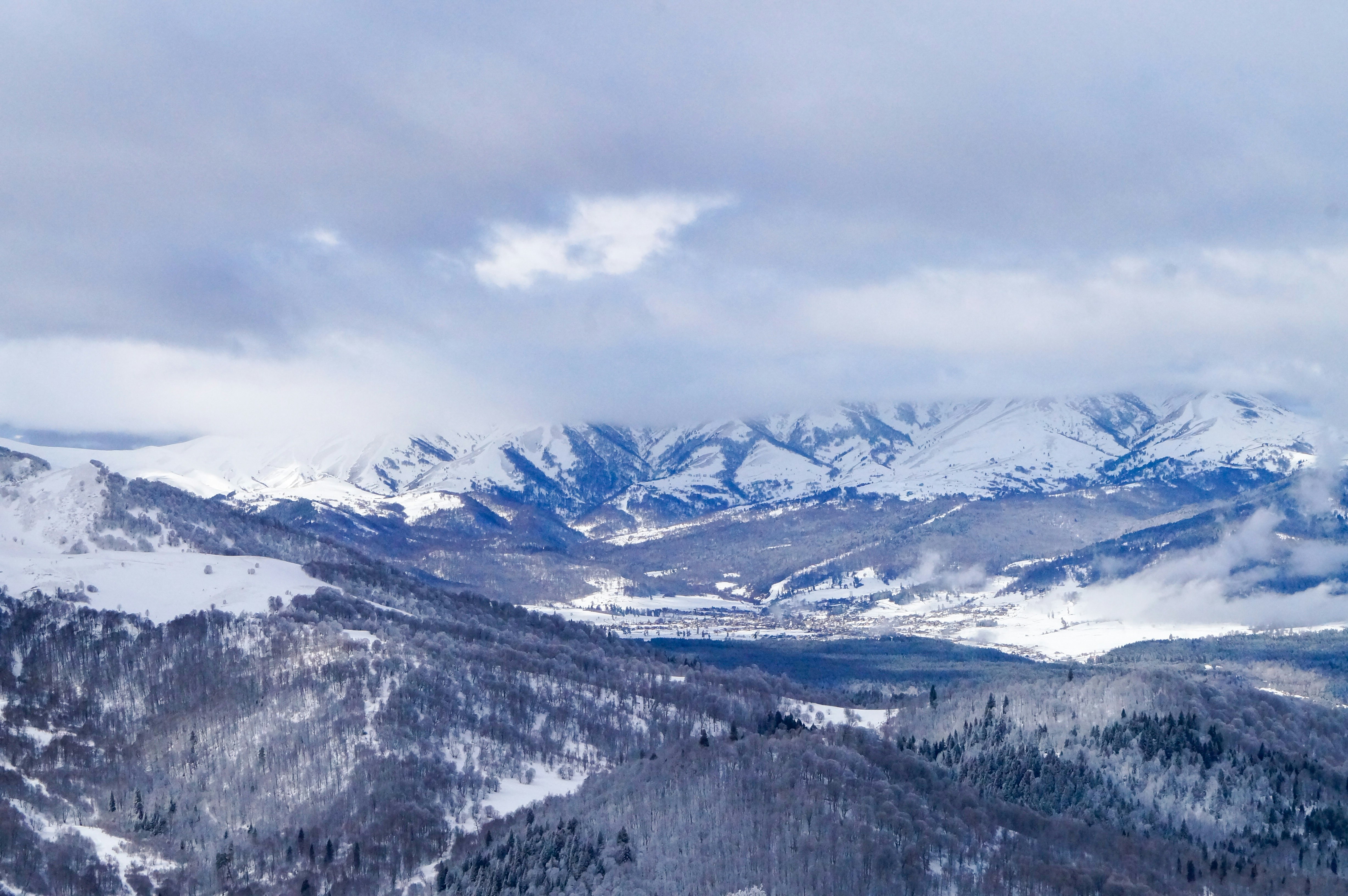 Snowbound Ridge: A Quiet Sweep Across the Winter Range