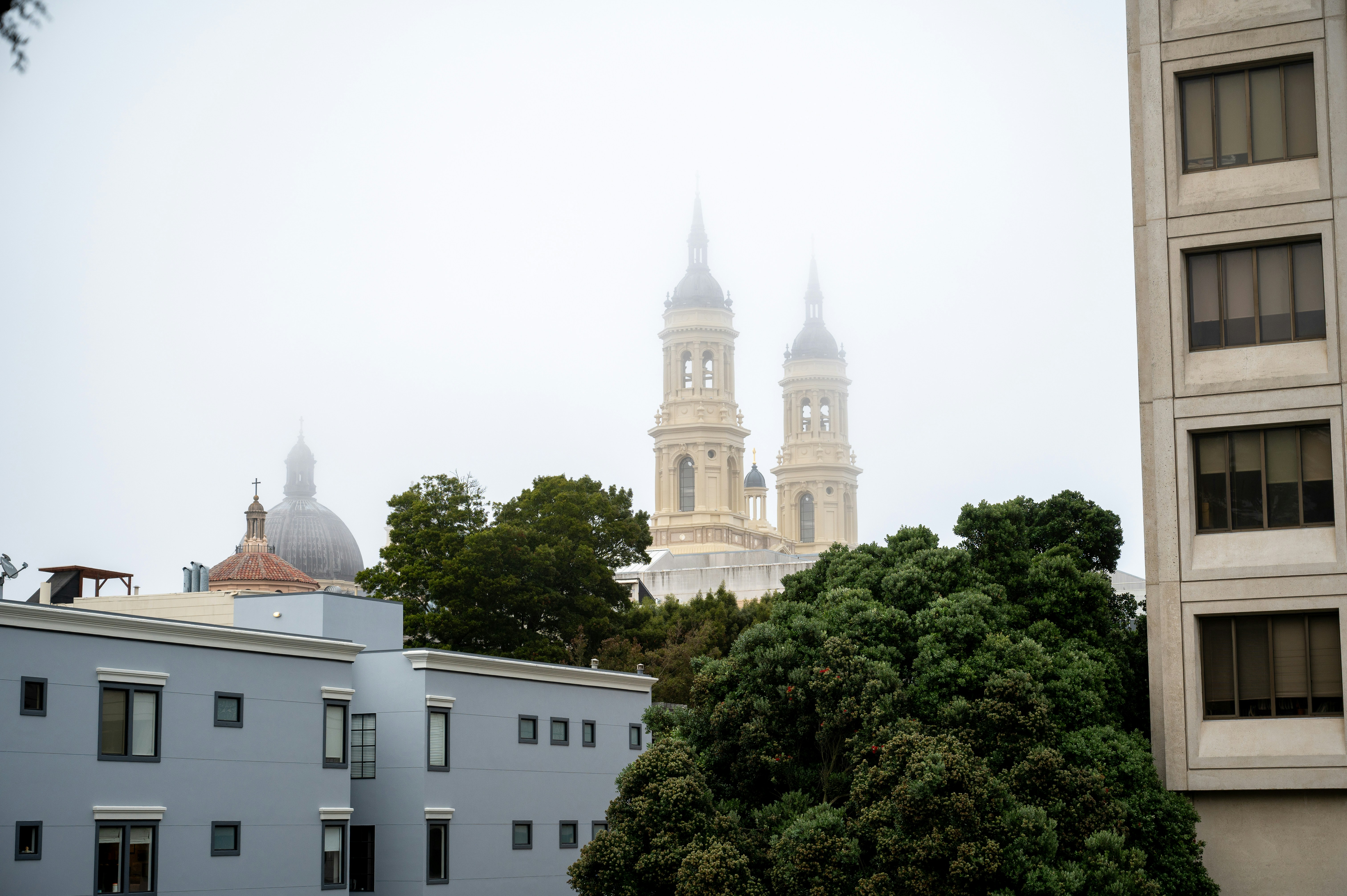 City Cathedral Silhouette: Twin Towers Above the Urban Canopy