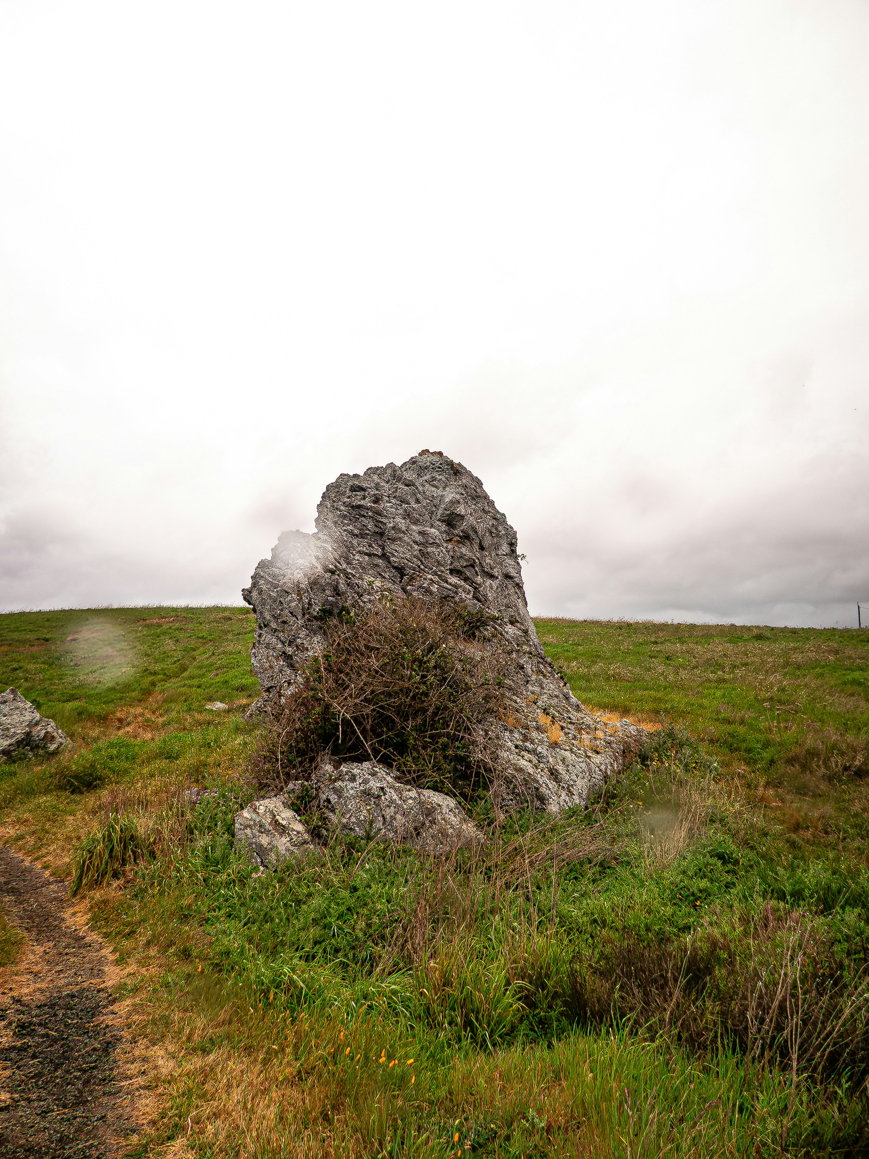 Stone Sentinel in a Quiet Moor