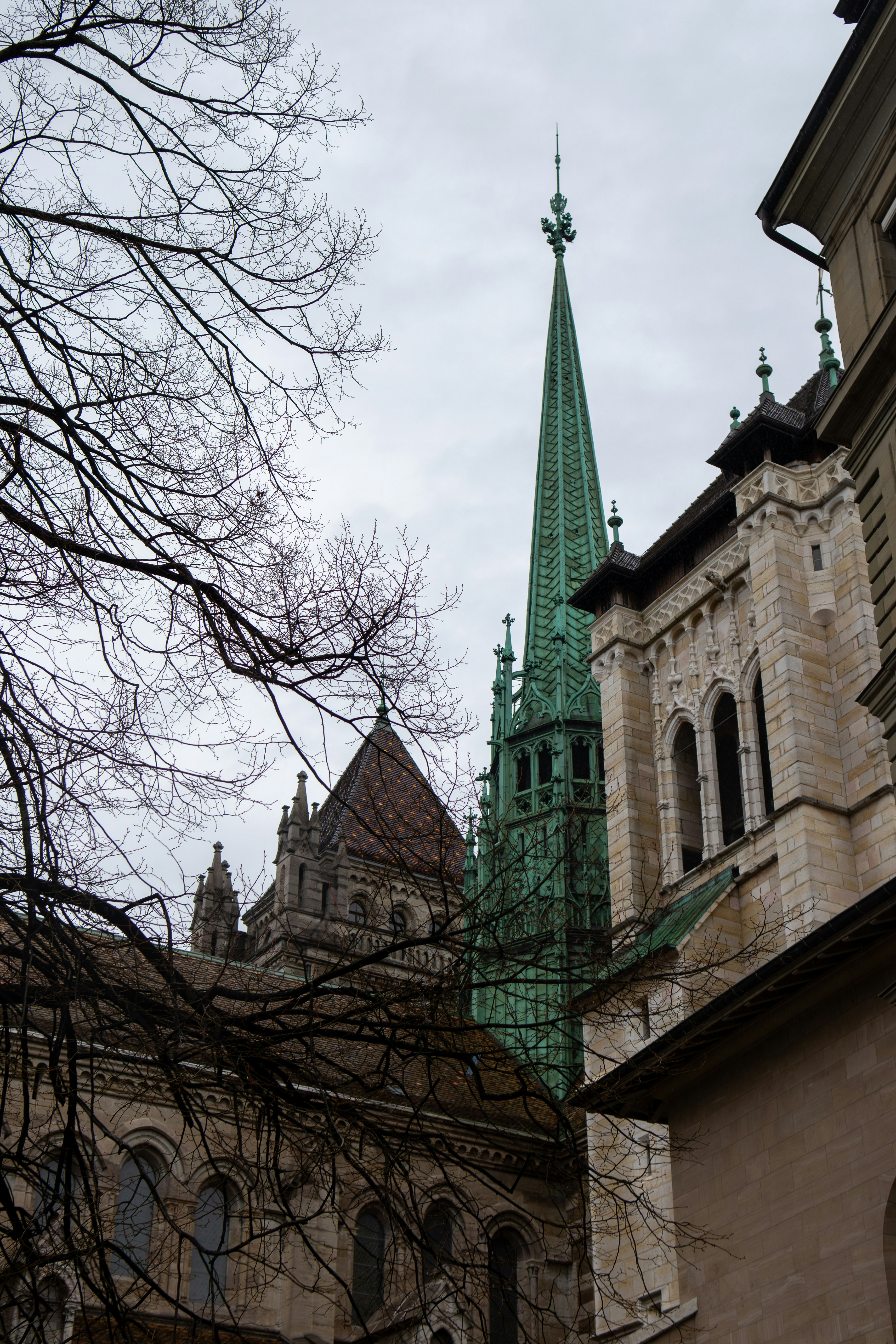Gothic Spire Amid Quiet Winter Branches