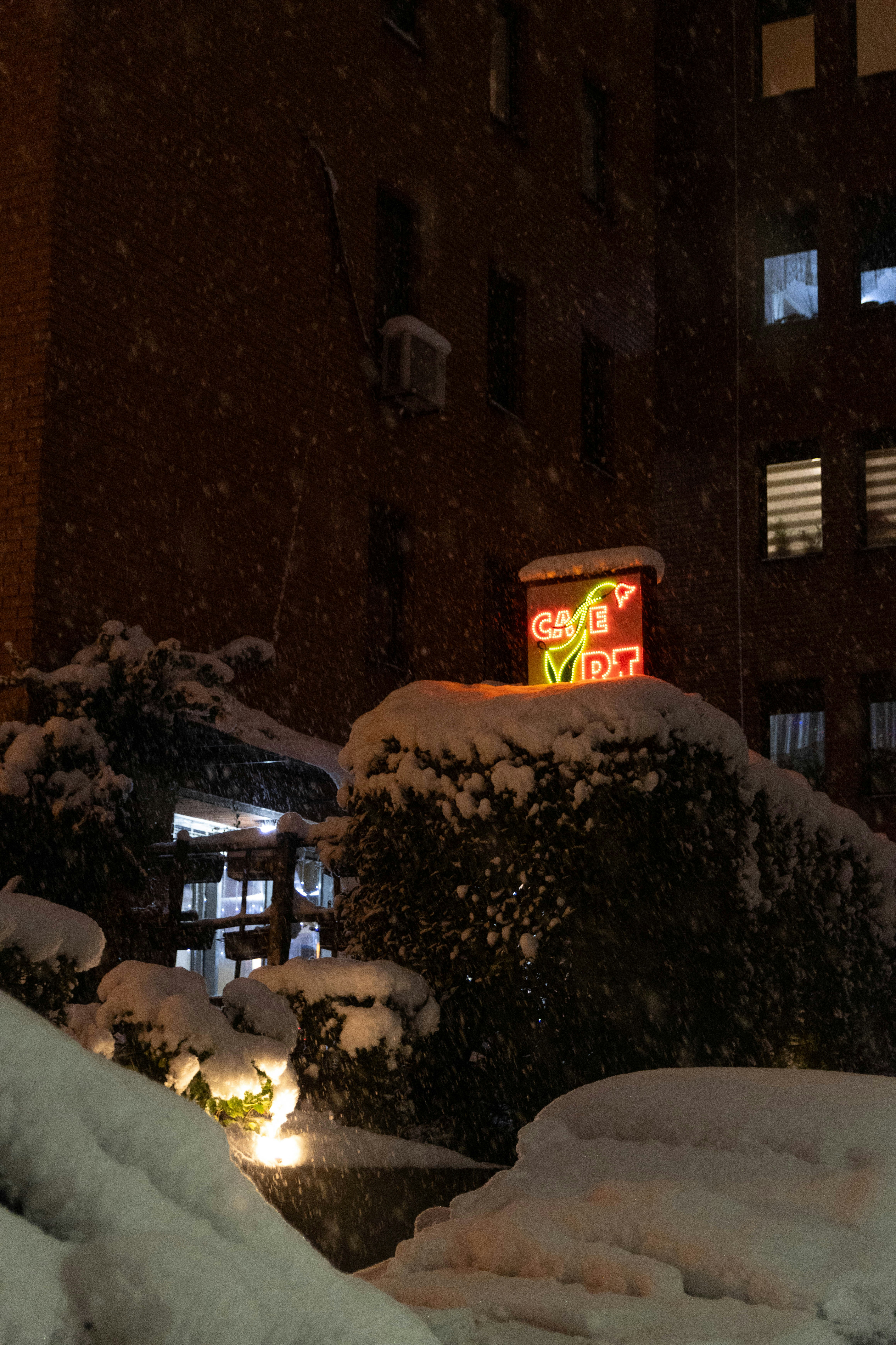 Neon Sign under Soft Snowfall in a Quiet Urban Night