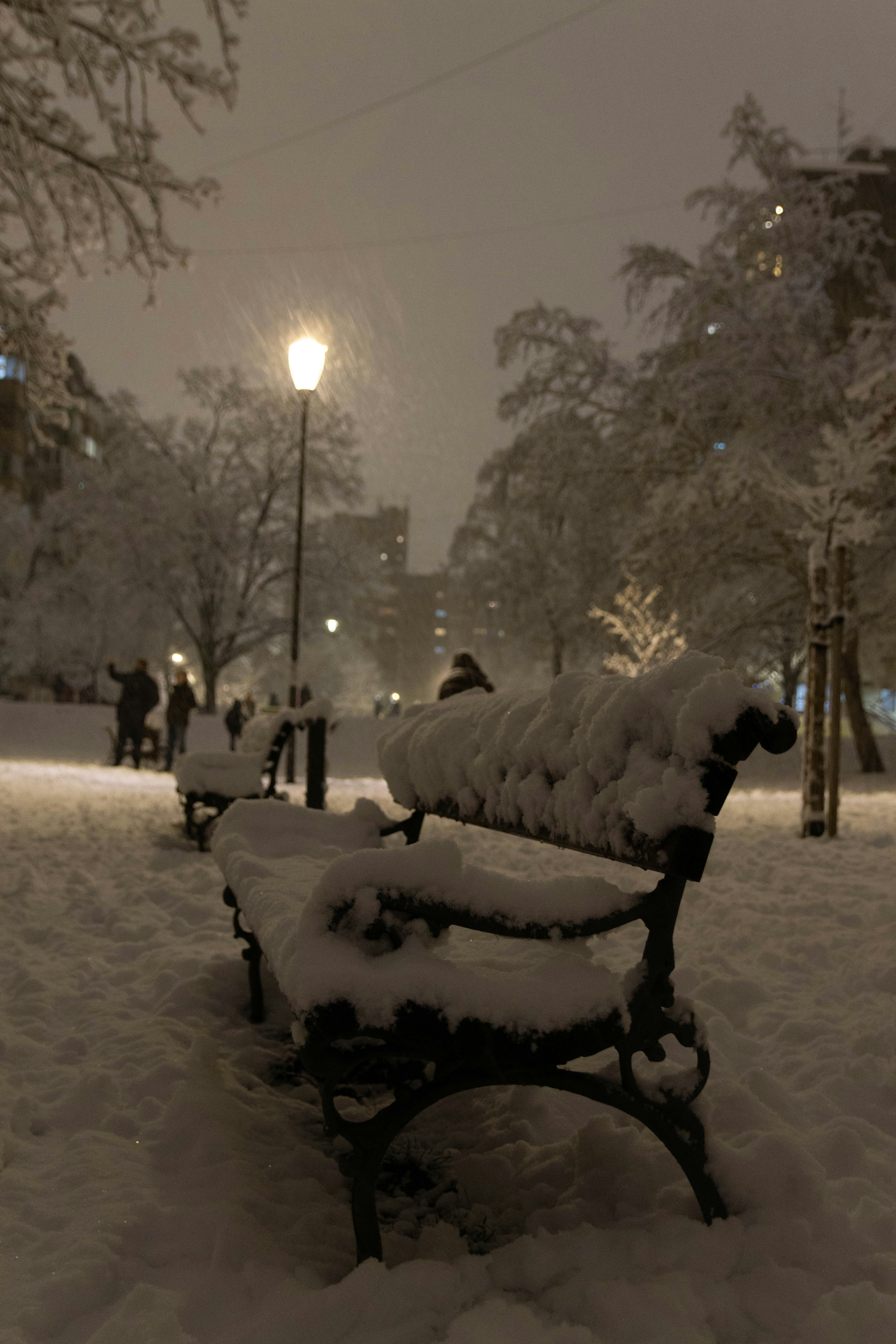 Snow blanketed park bench under a quiet, lamplit night