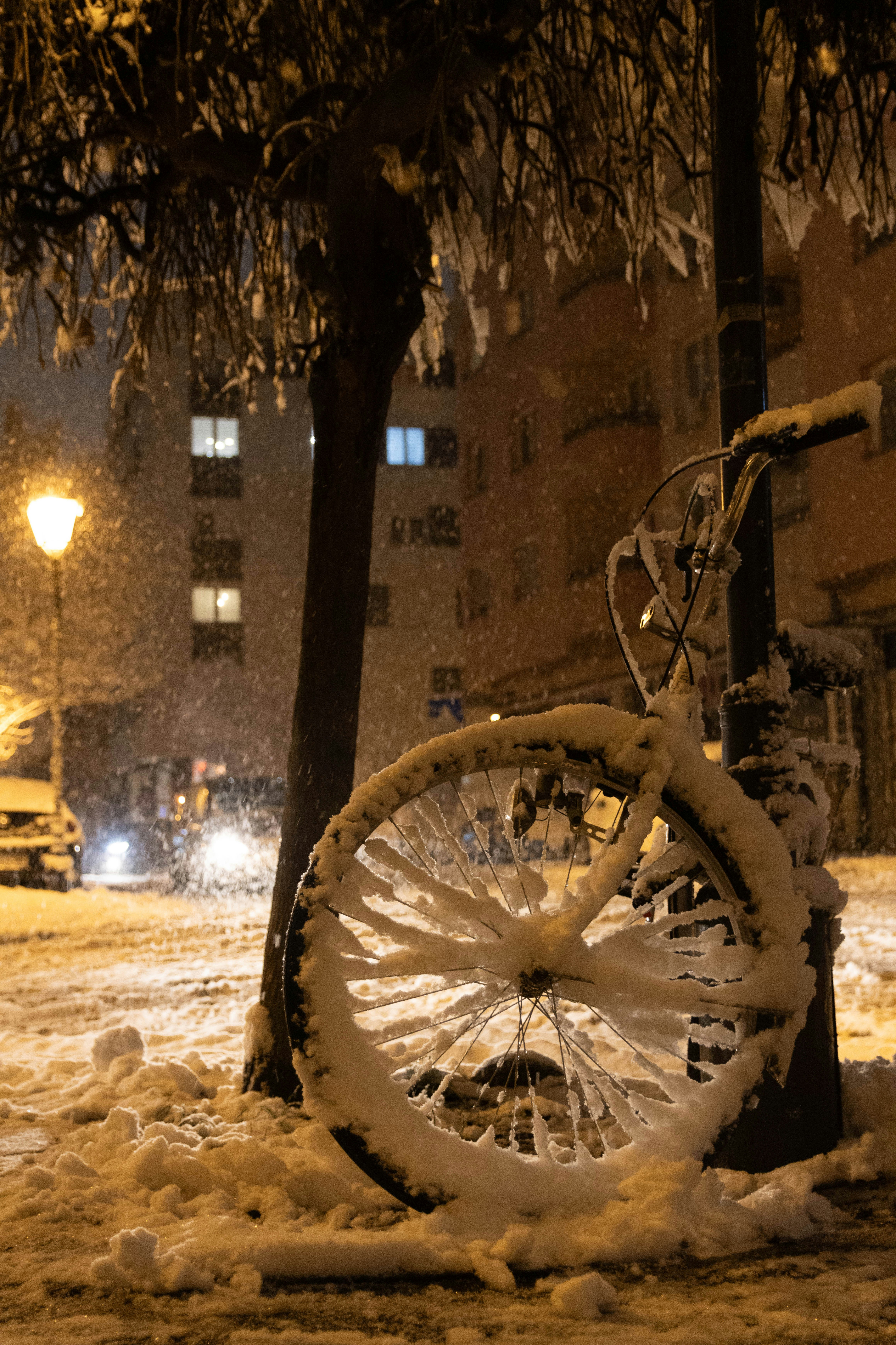 Snowbound Wheel in the Street Light Glow