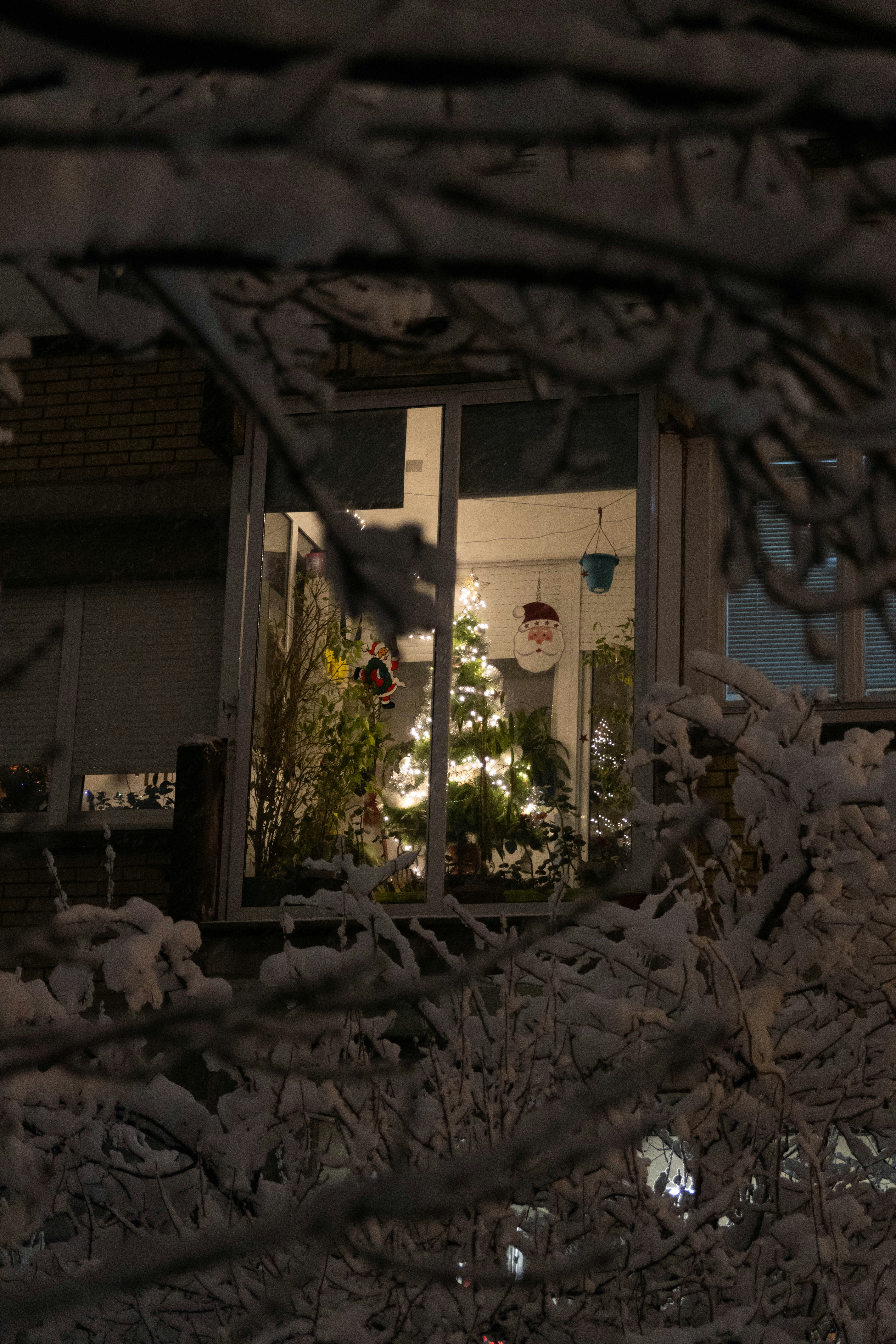 Window Glow: Festive Scene Framed by Winter Branches