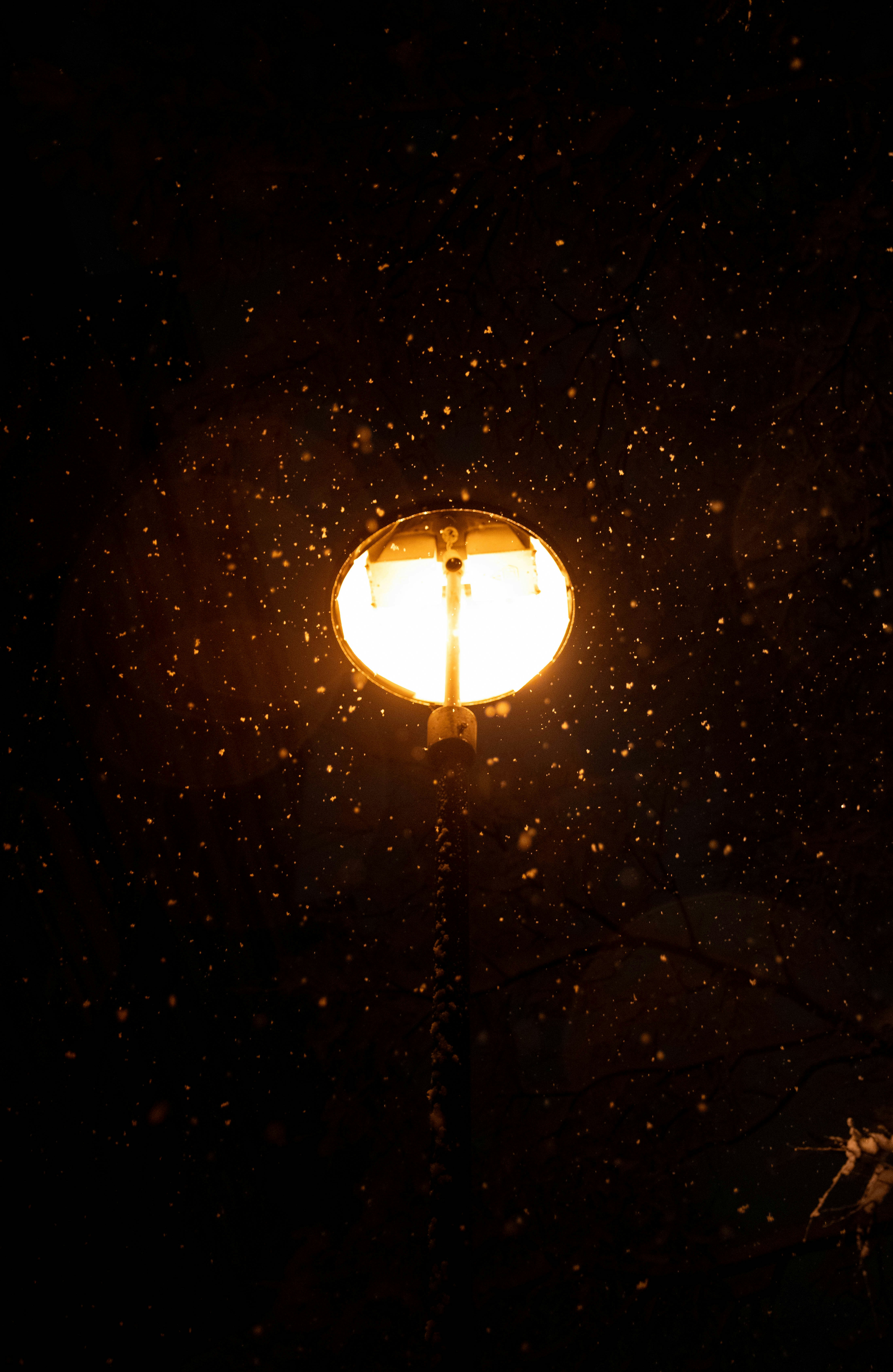 Glowing Lantern in Snowfall