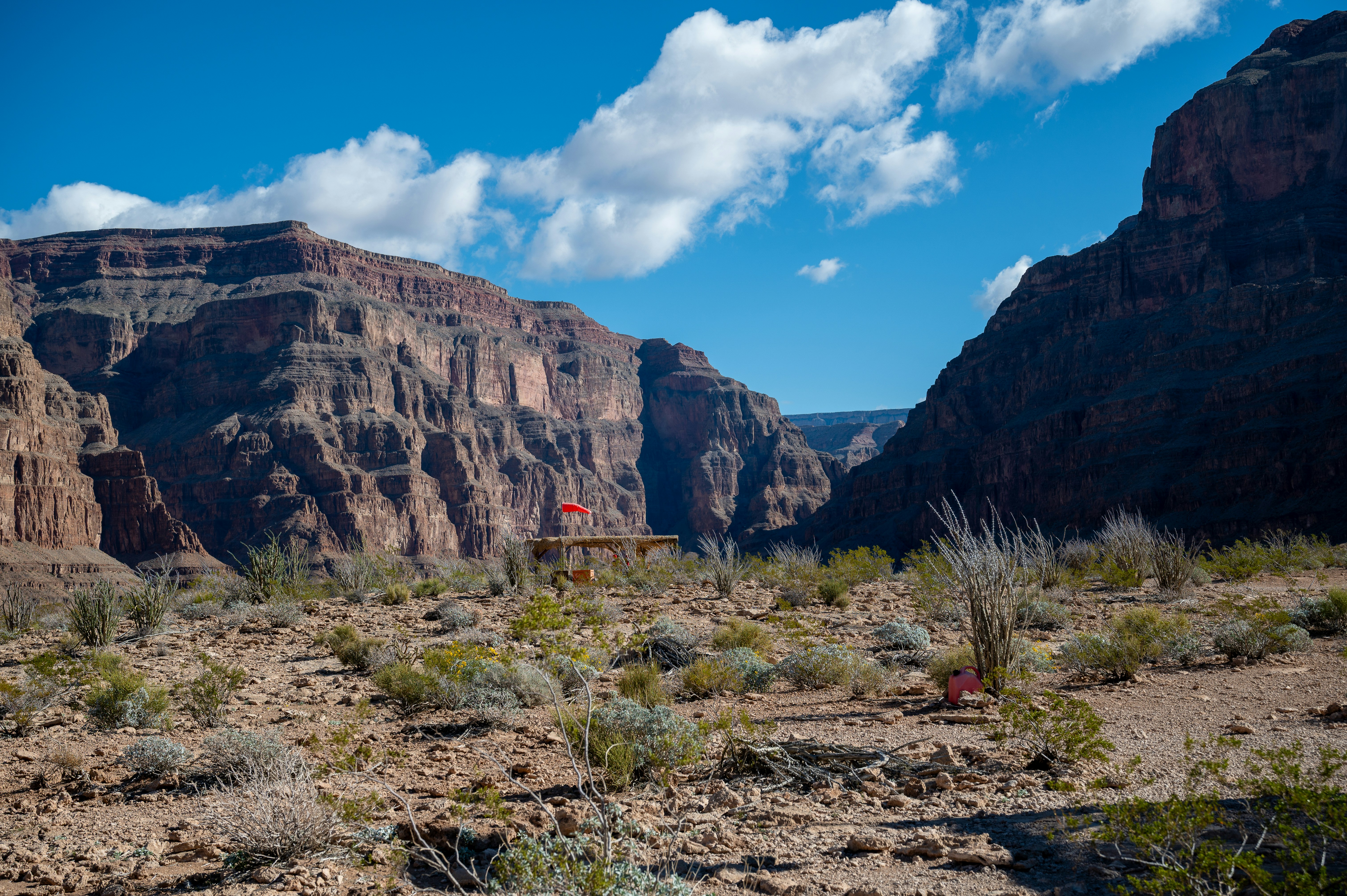 Desert Canyon Vista: A lone trail between towering cliff faces