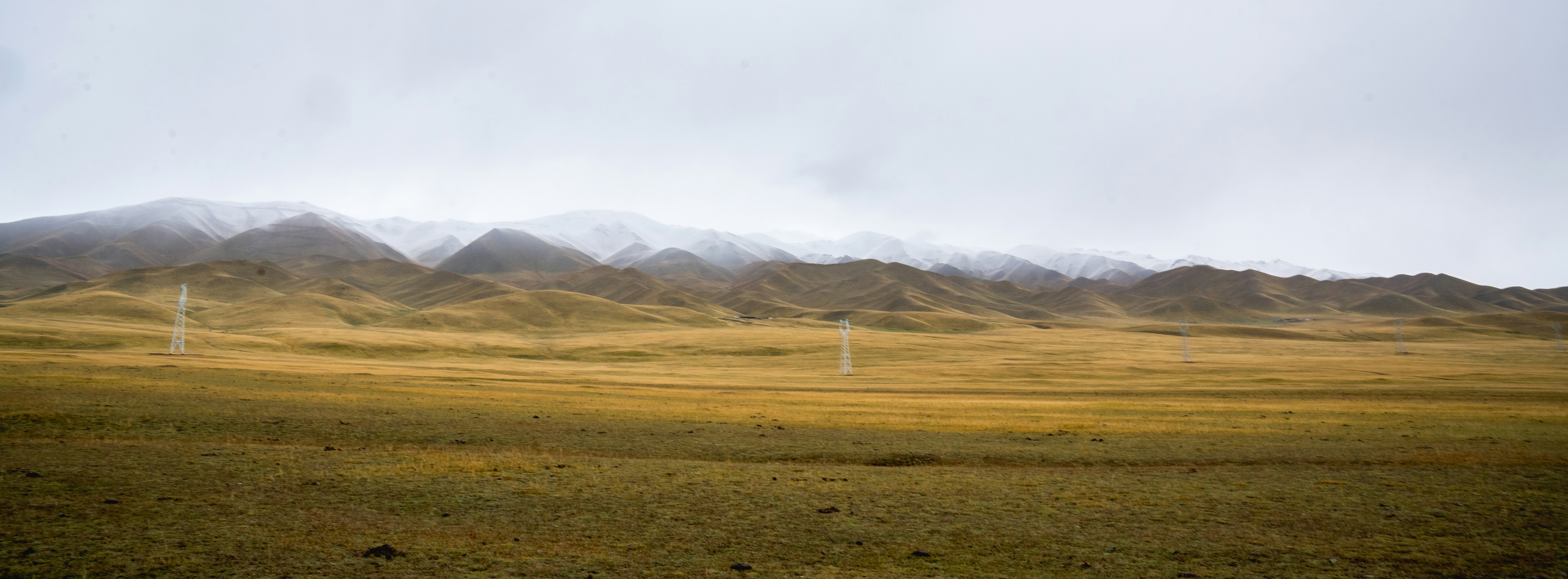 Lowland Winds: Rolling Hills and Distant Peaks Under Soft Cloud