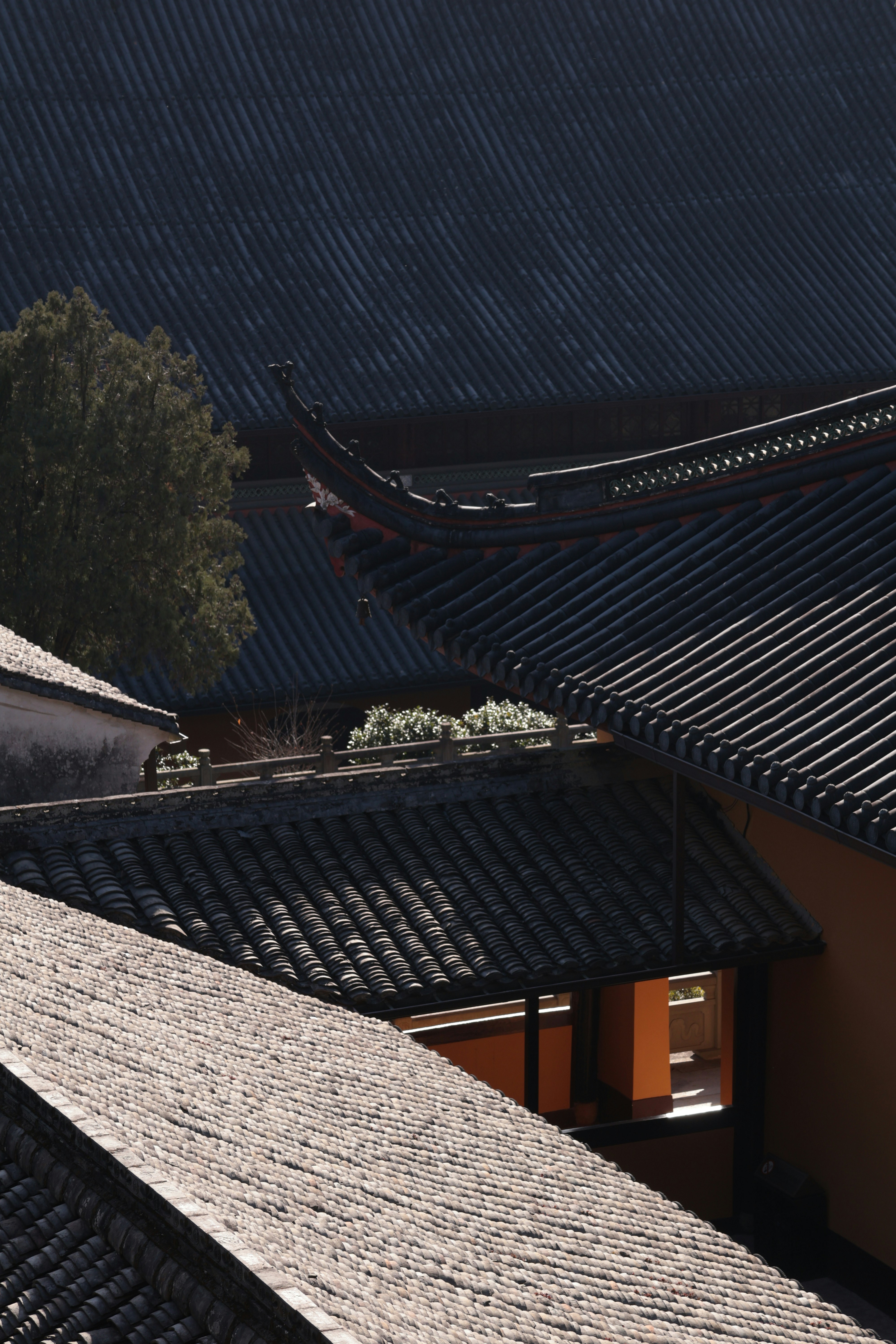 Curved Eaves Over The Quiet Rooftops
