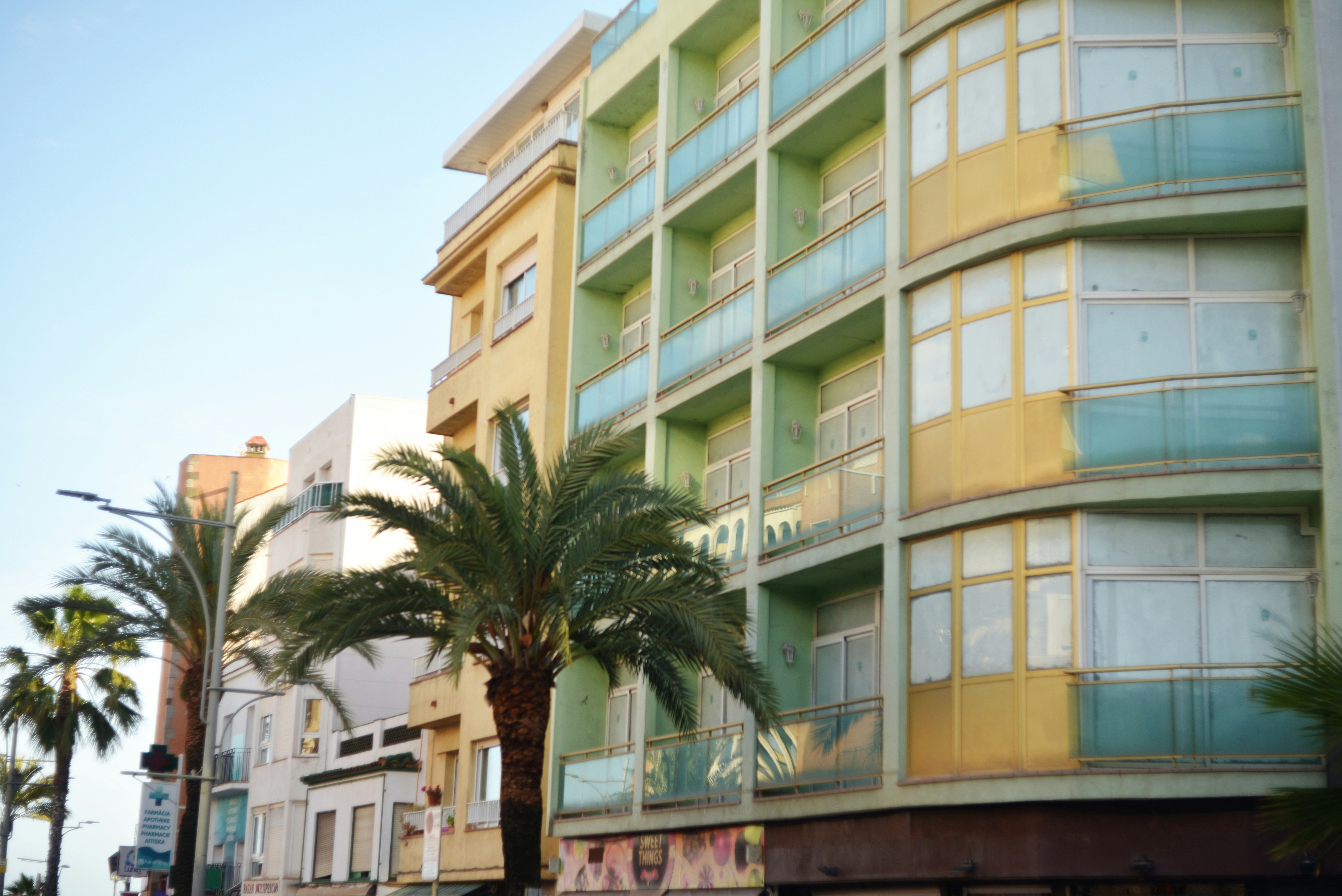 Sunlit Oceanfront Facade: Palm Trees Against a Faded Yellow Building