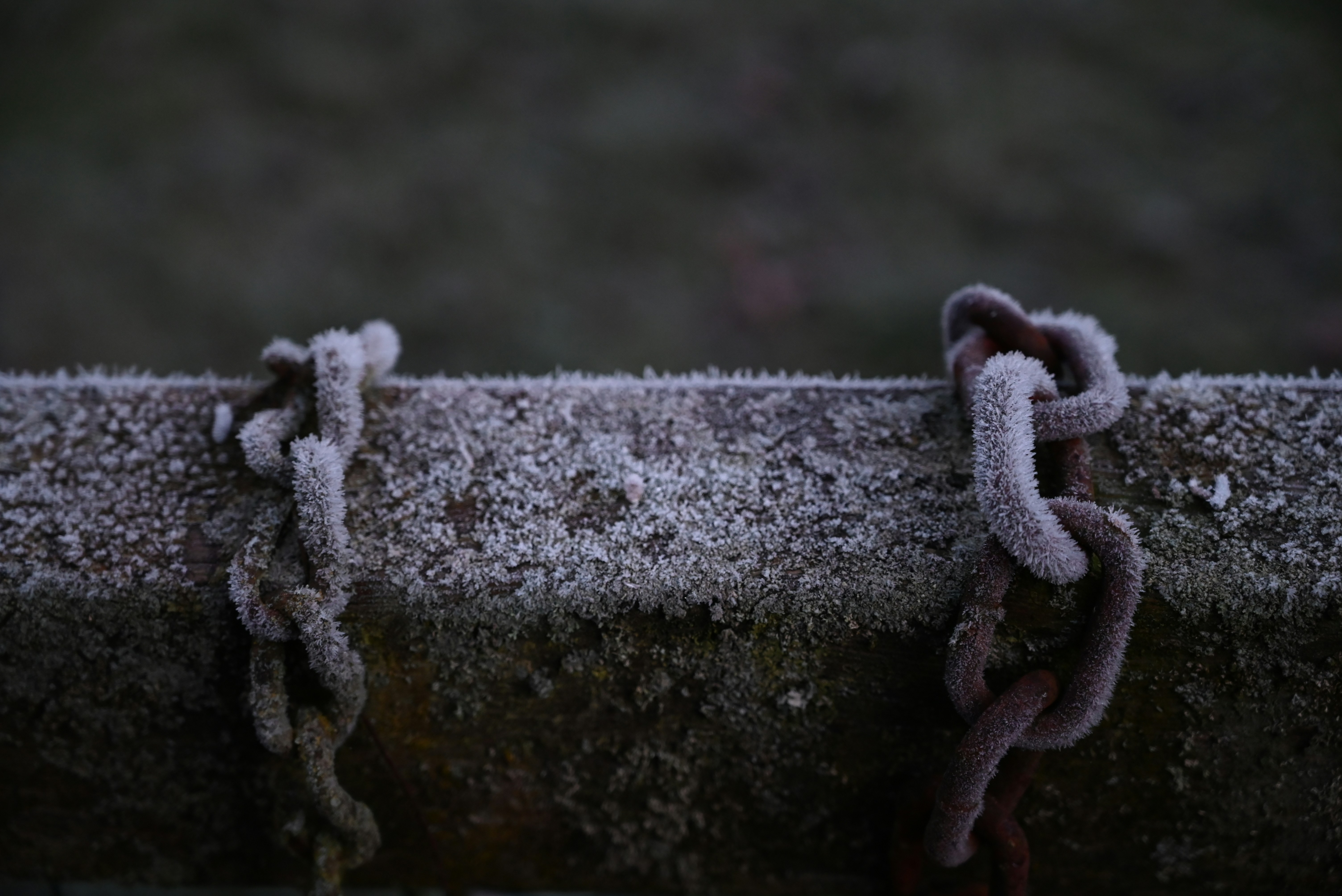 Frosted Chains: A Quiet Echo on a Cold Barrier