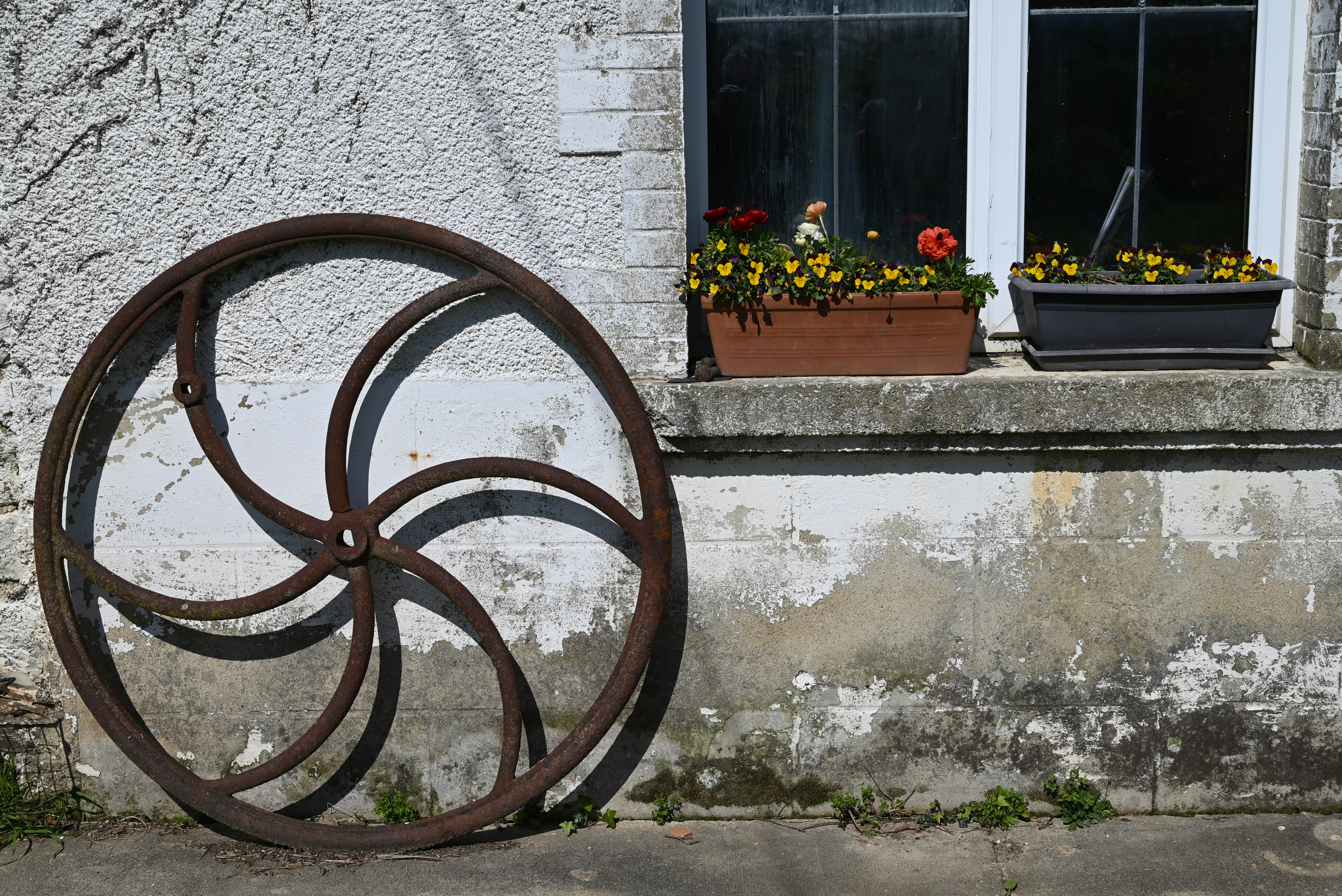 Rusty Spiral Wheel Leaning Against the Wall