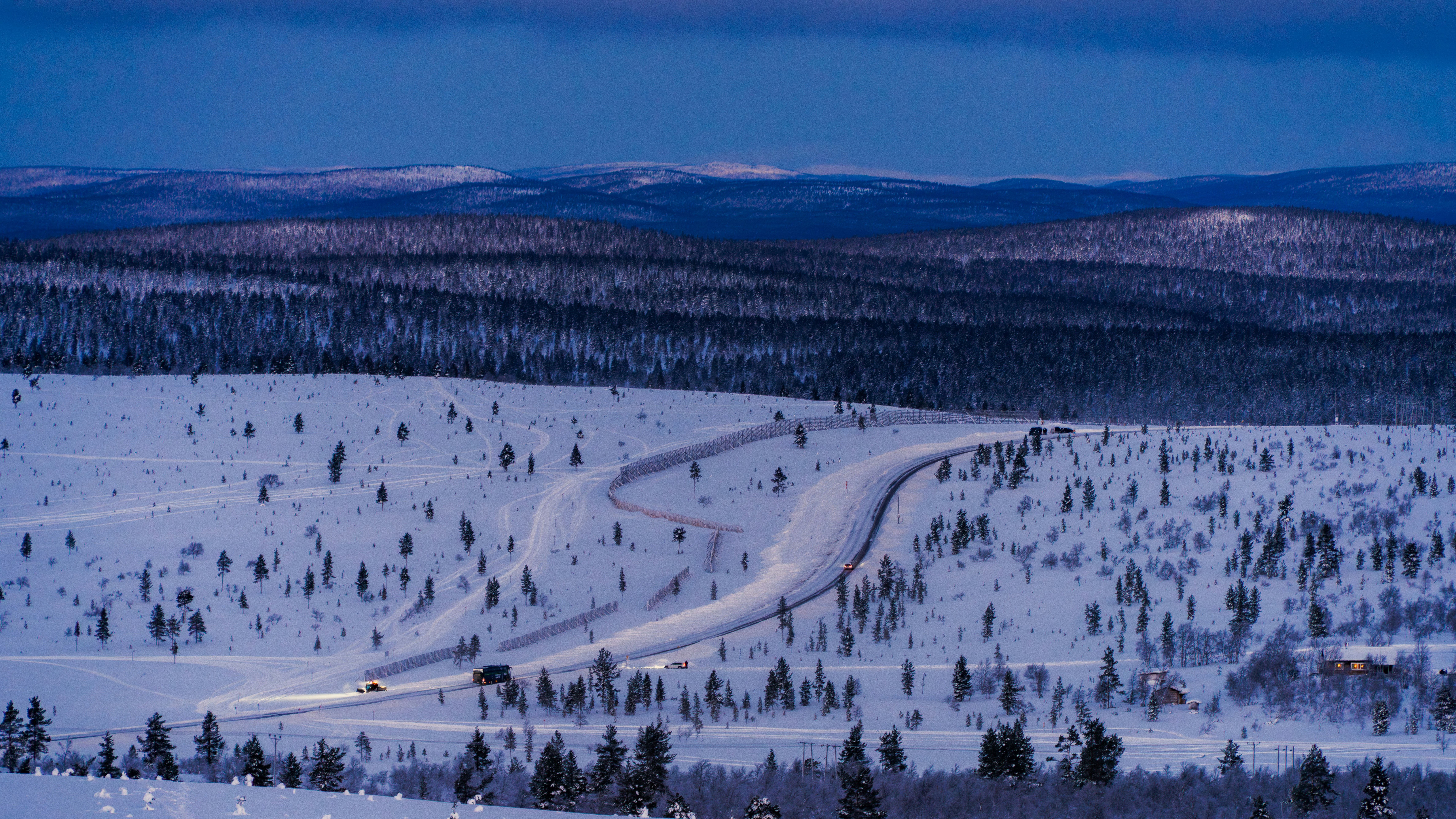 Snowbound Highway: A Ribbon of Light Through Frozen Pines