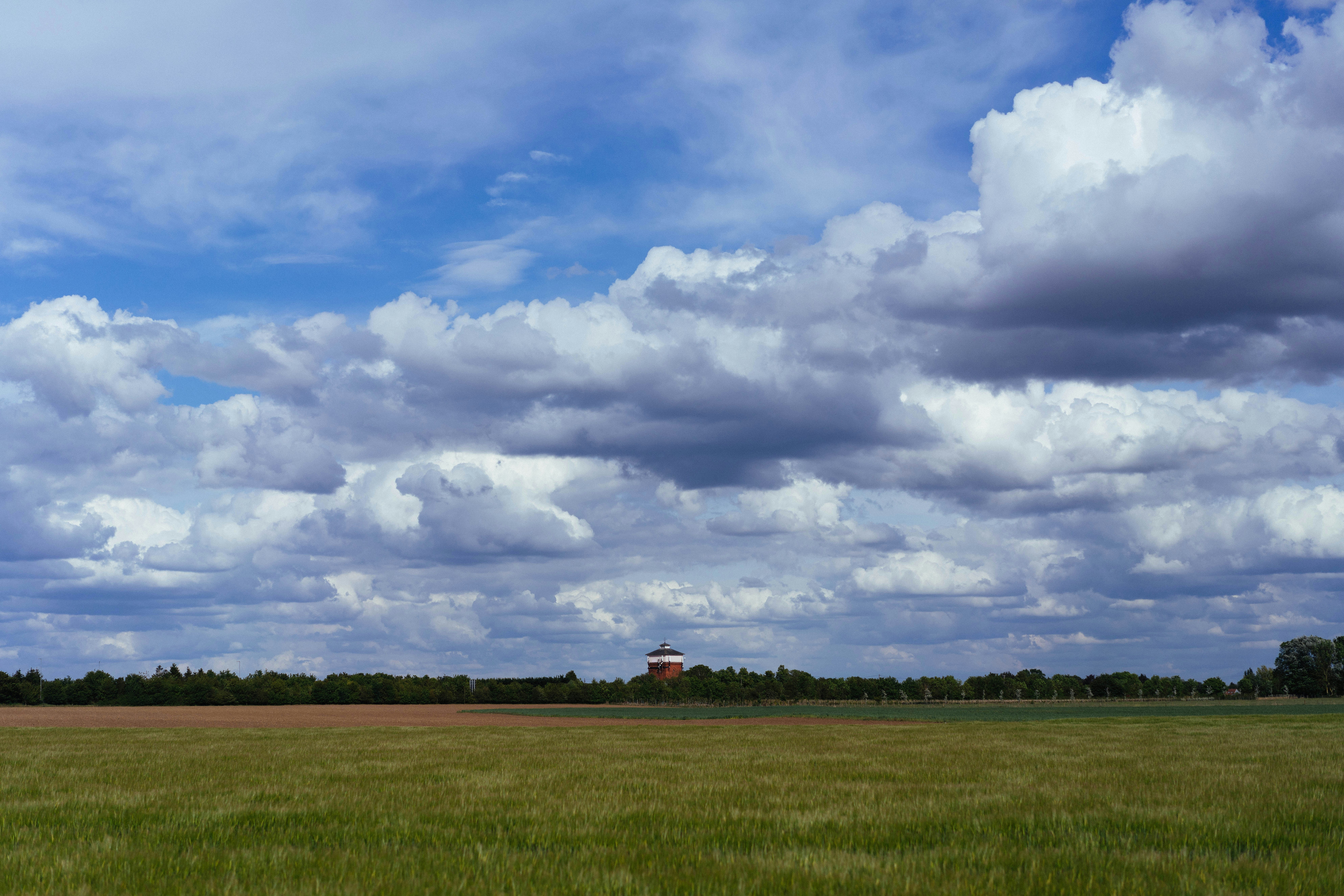 Low Horizon, Wide Sky: Fields Meet a Distant Watchtower