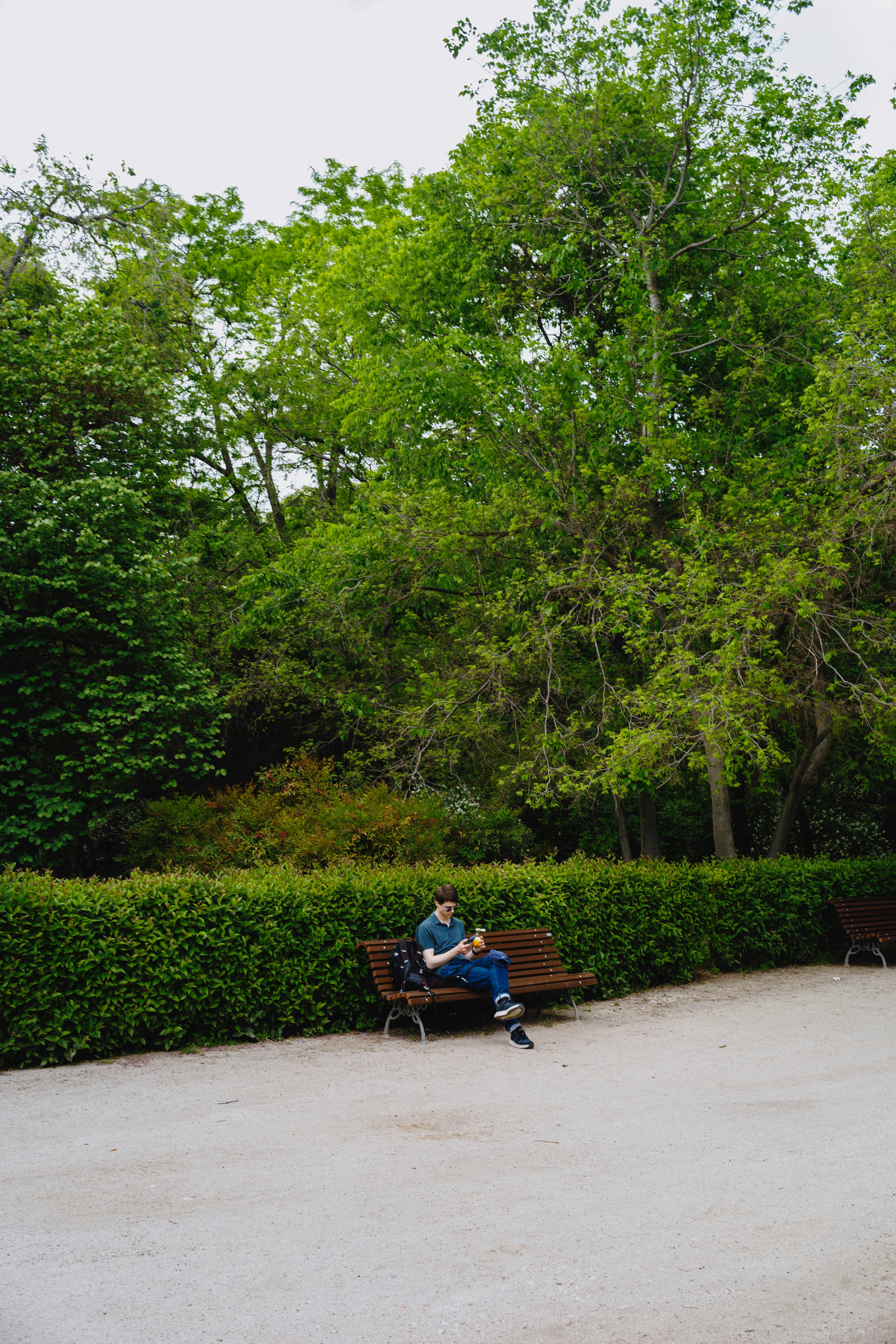 Solitary Reader on a City Park Bench