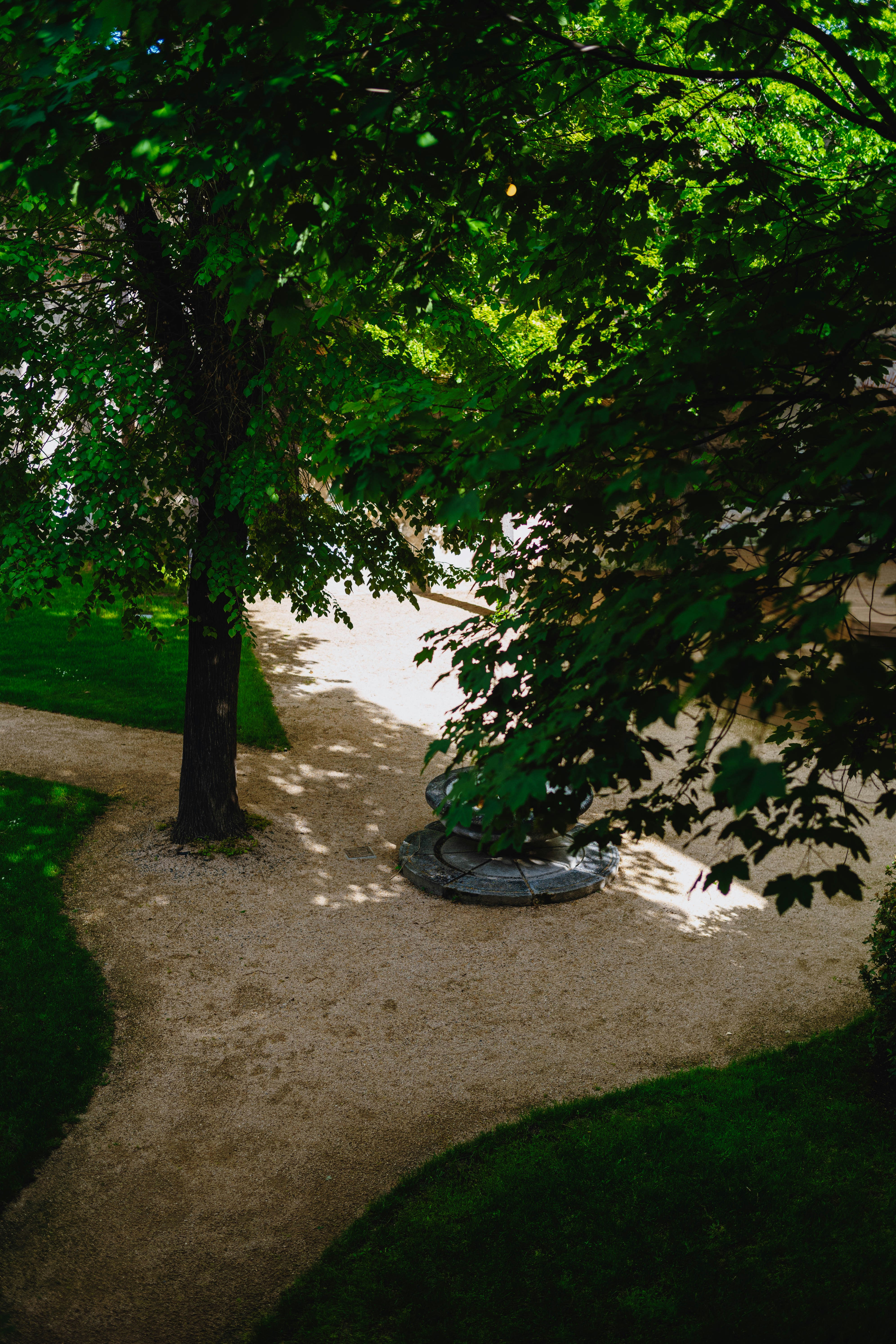Shaded Courtyard Path Under a Canopy of Green