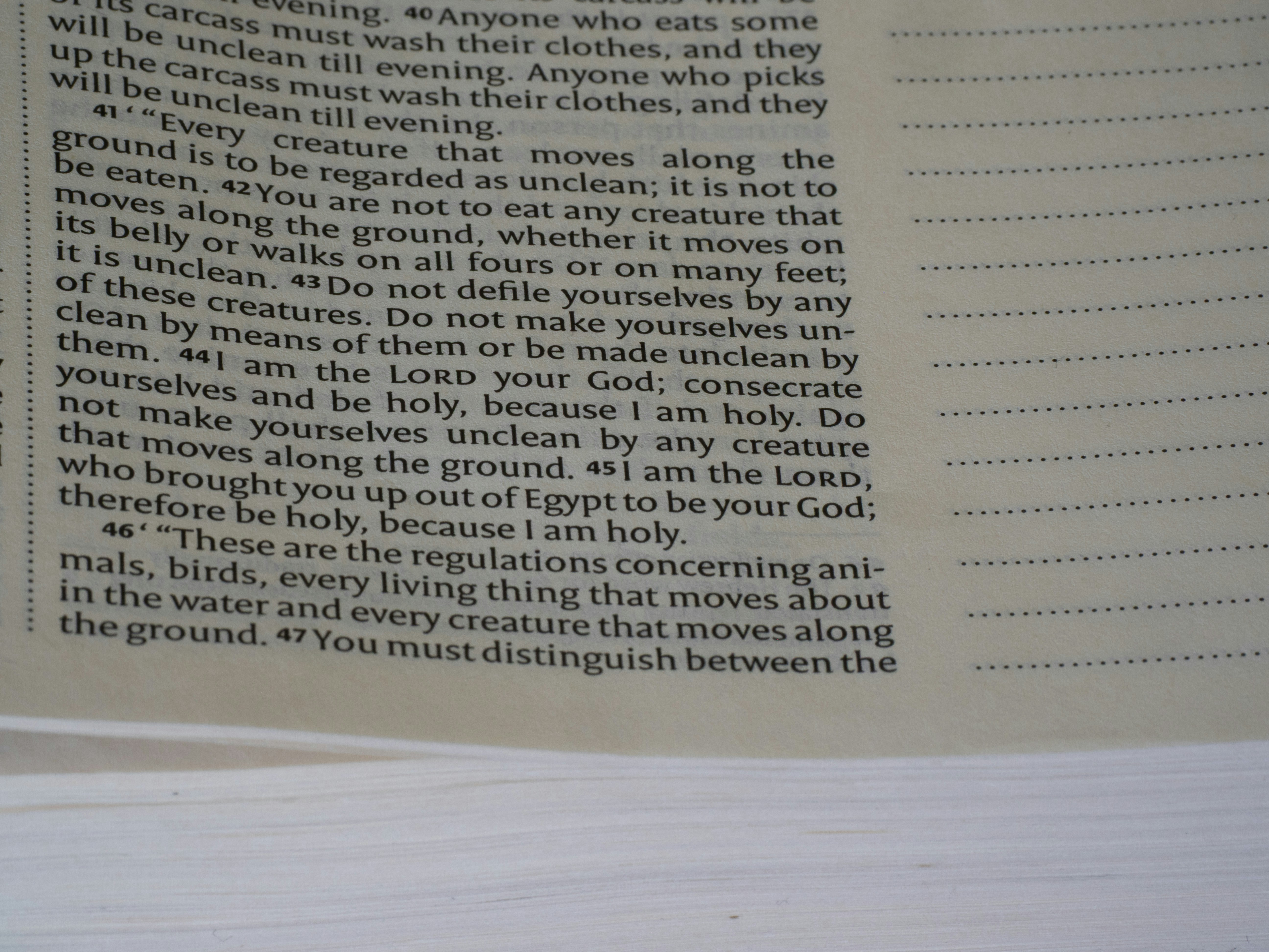 Scripted Pages: A Quiet Gaze Across Textured Paper