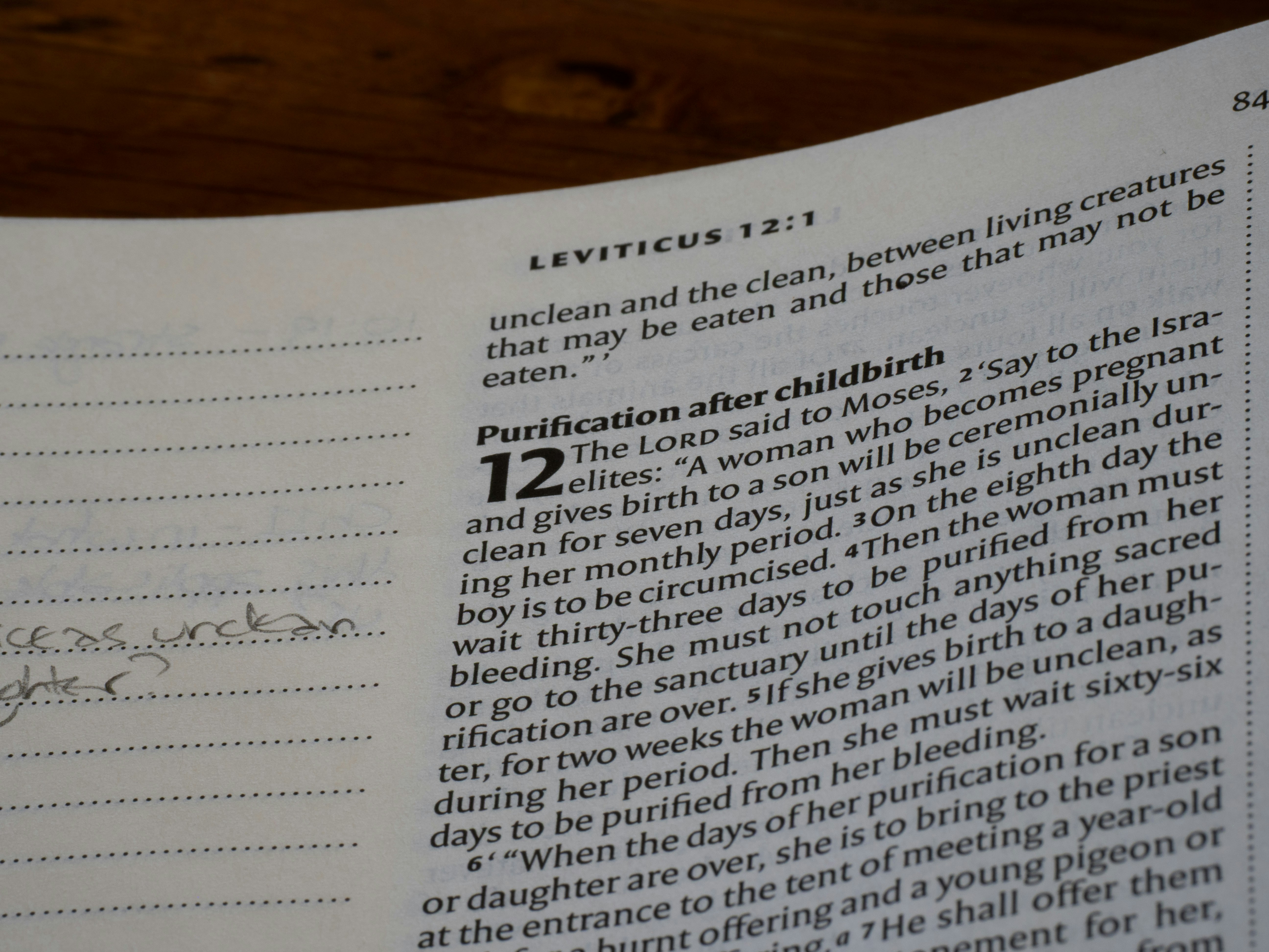 Ivory Page: Classic Serifs Haloed by Light in a Quiet Study