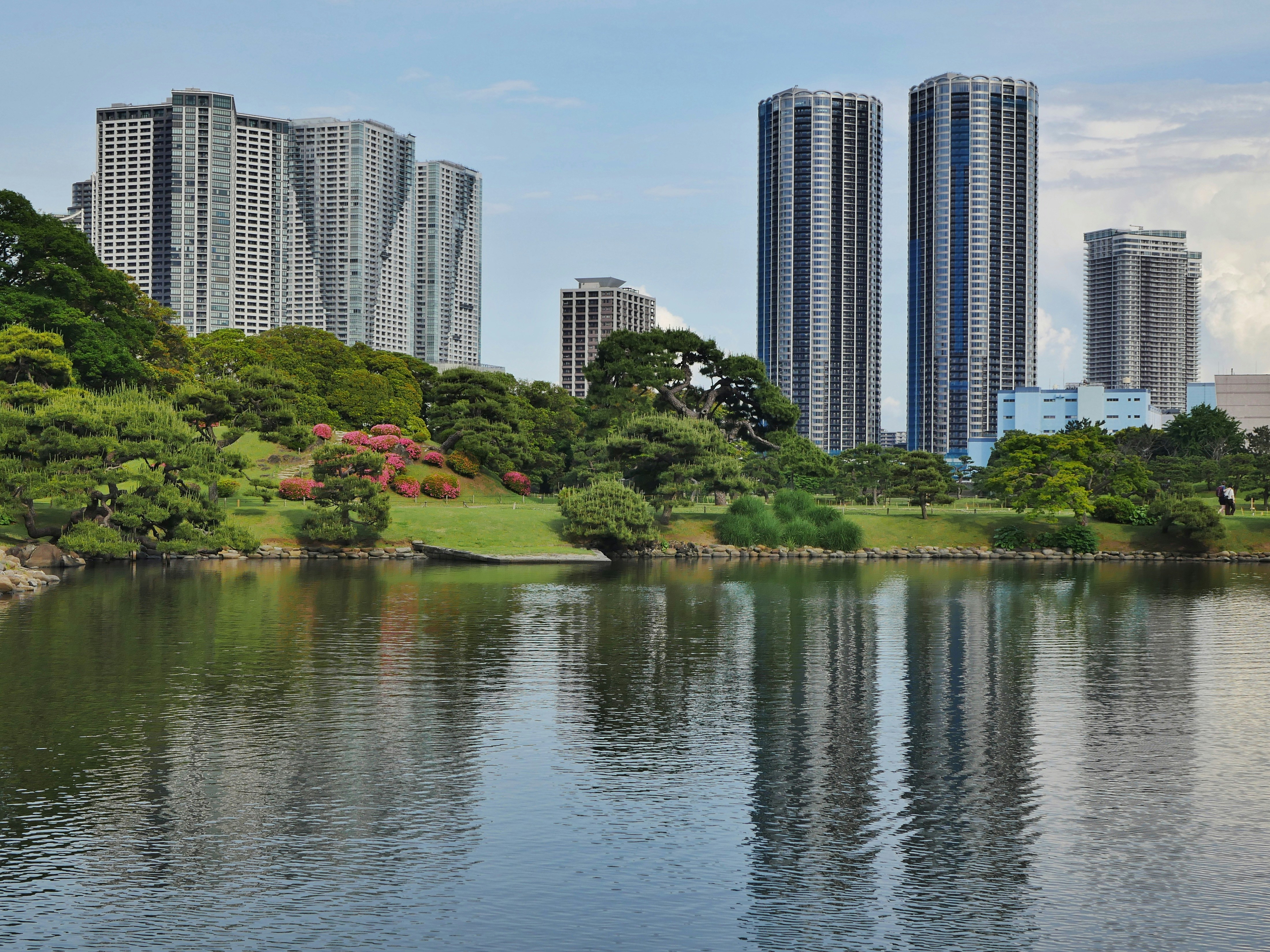 Cityscape Reflection: Urban Towers Rising Over a Serene Park Lake