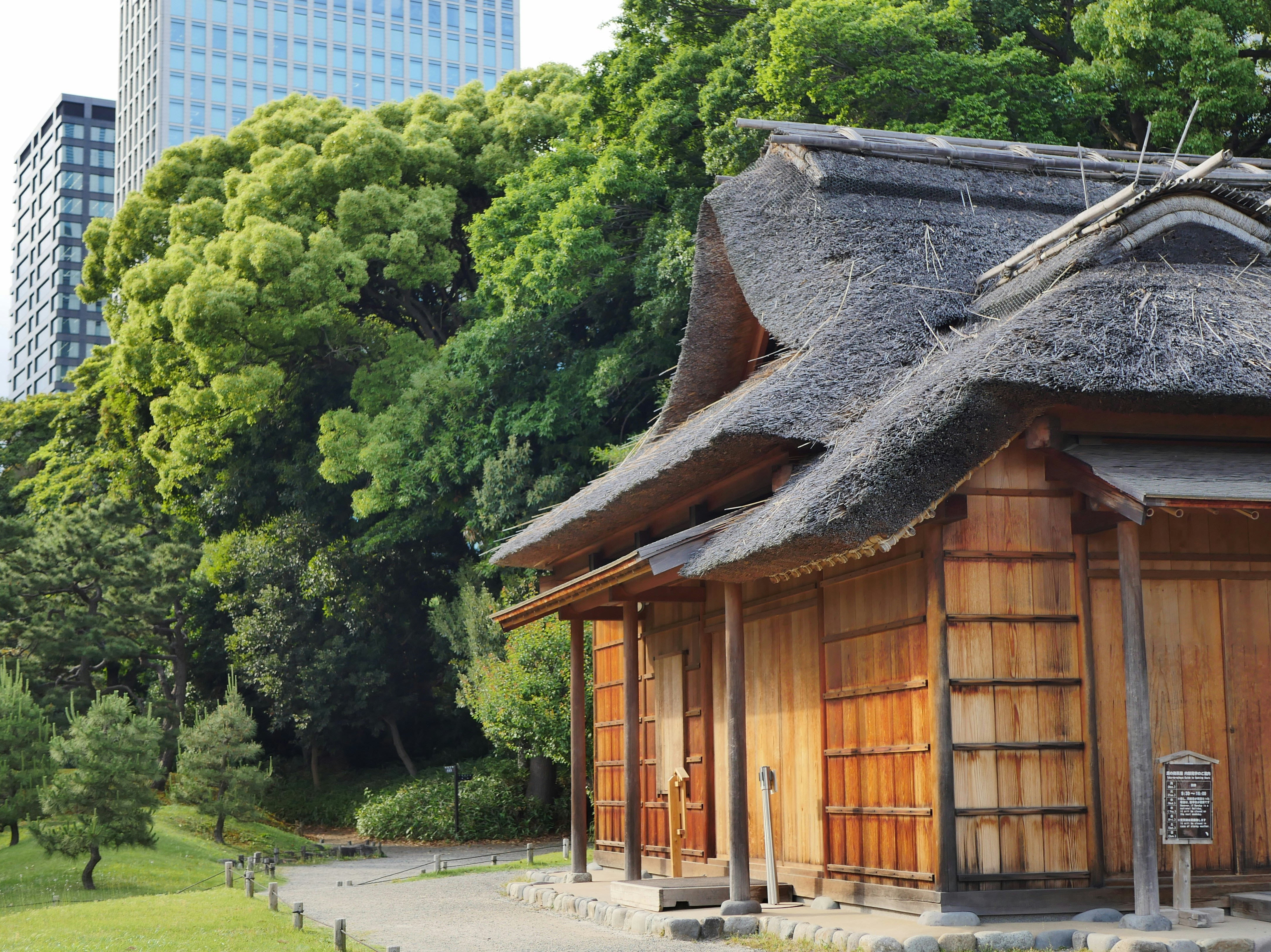 Wooden Shrine Meets Cityscape: A Quiet Corridor at Dusk