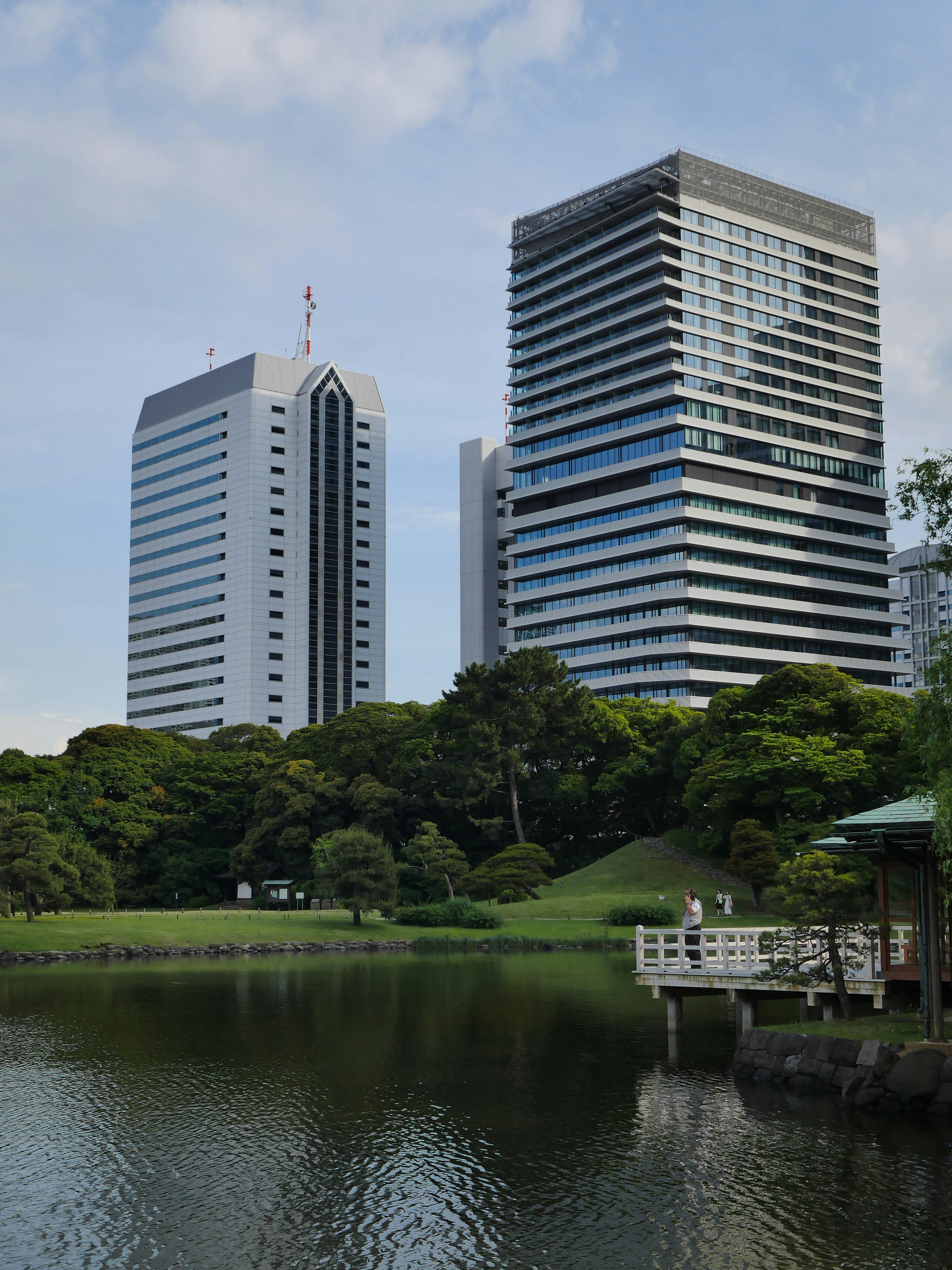 Urban Reflections: Skyscrapers Framing a Serene Park