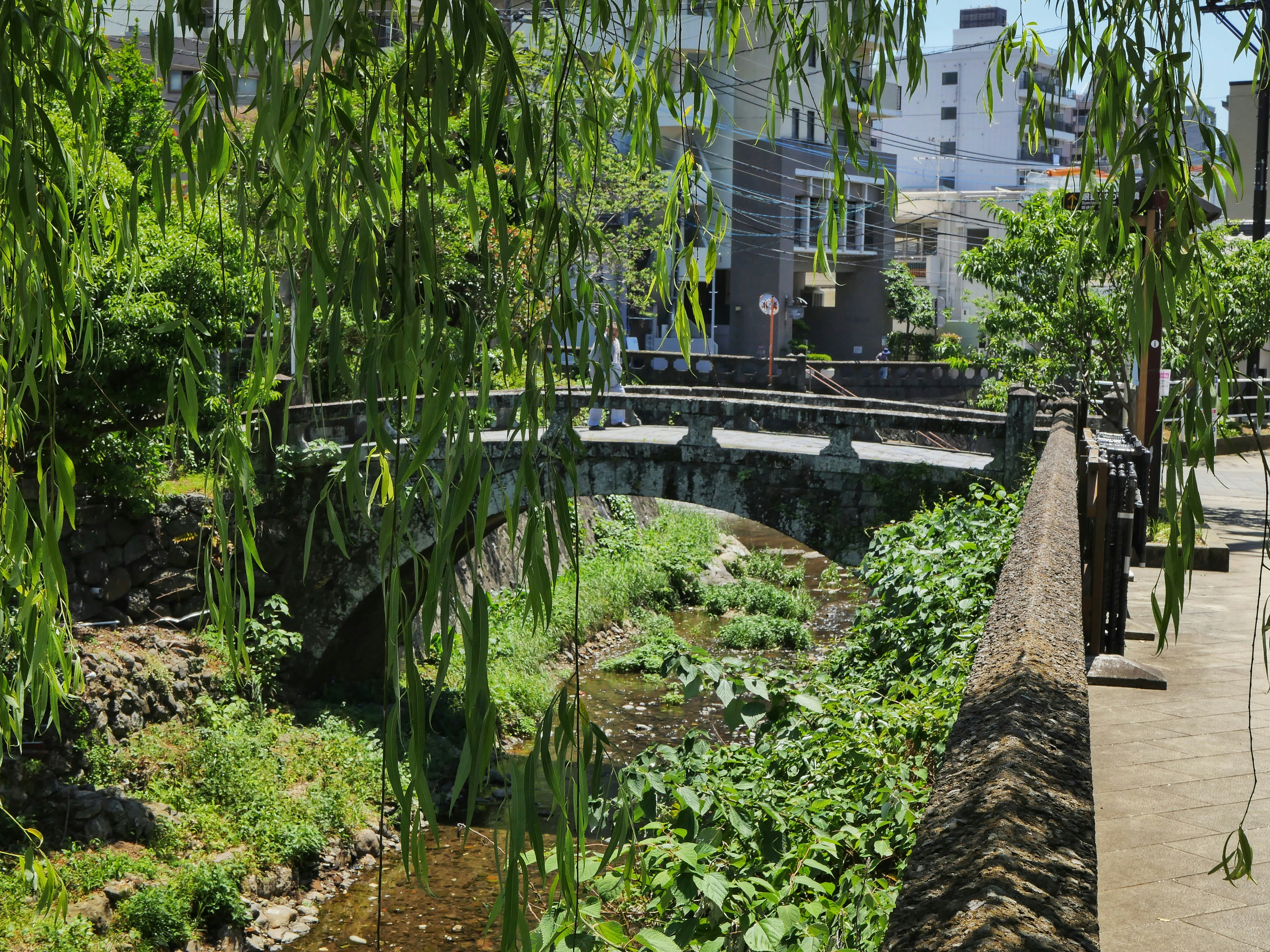 Arched Bridge Looms Over Lush Urban Stream