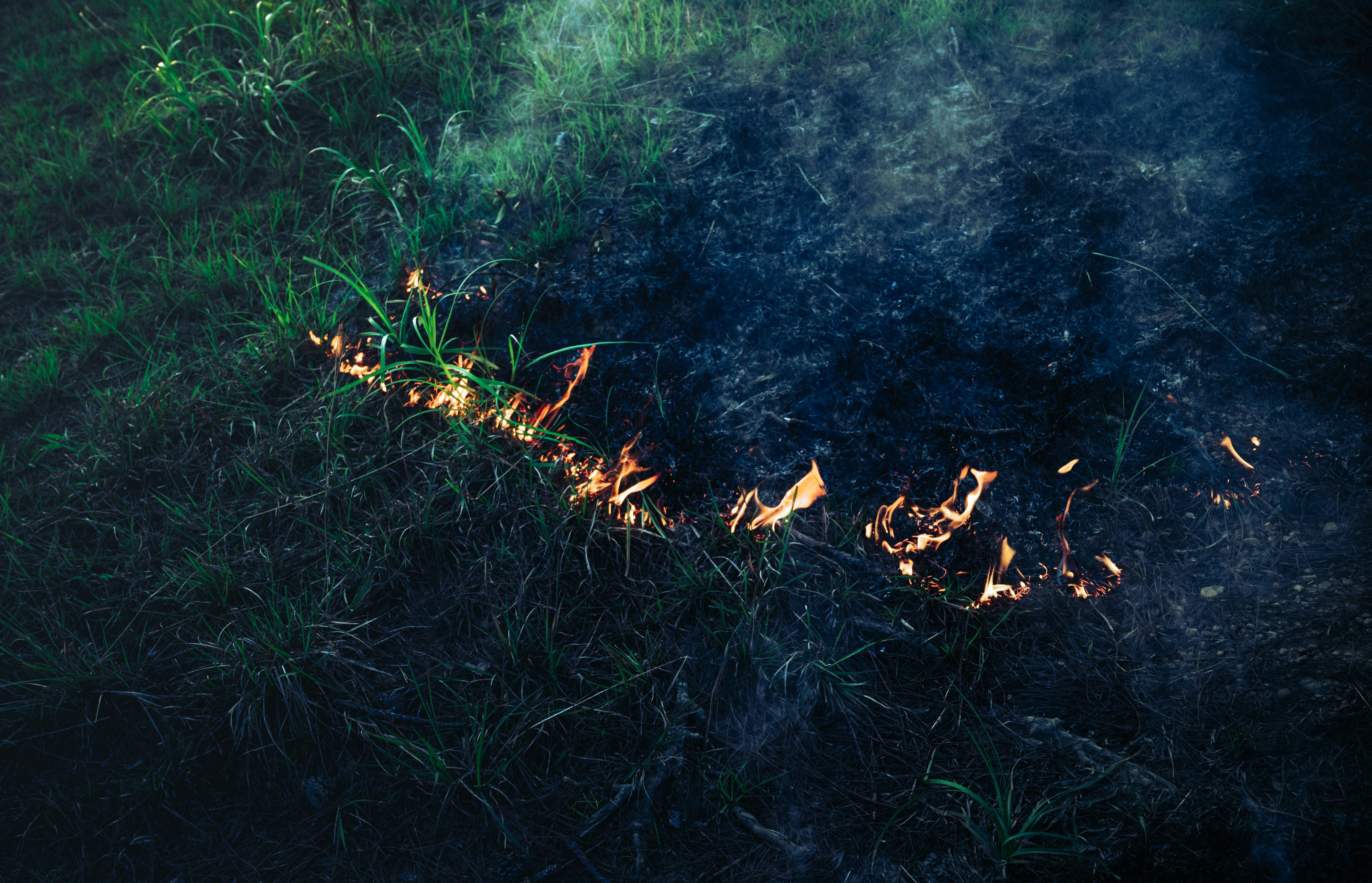  ember-lit ribbon of flame along damp field