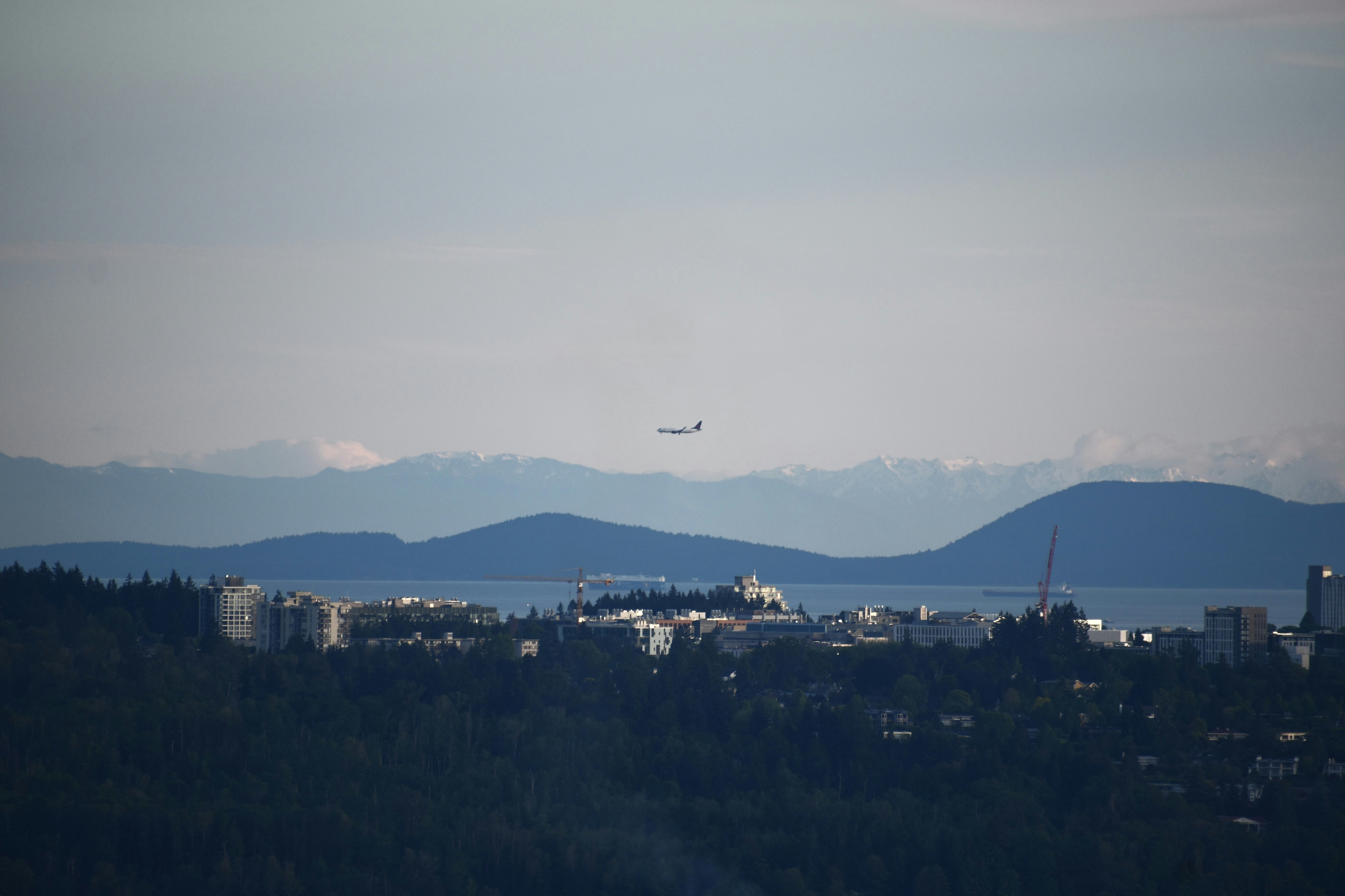 City silhouette beneath distant snow-capped peaks with a solitary aircraft