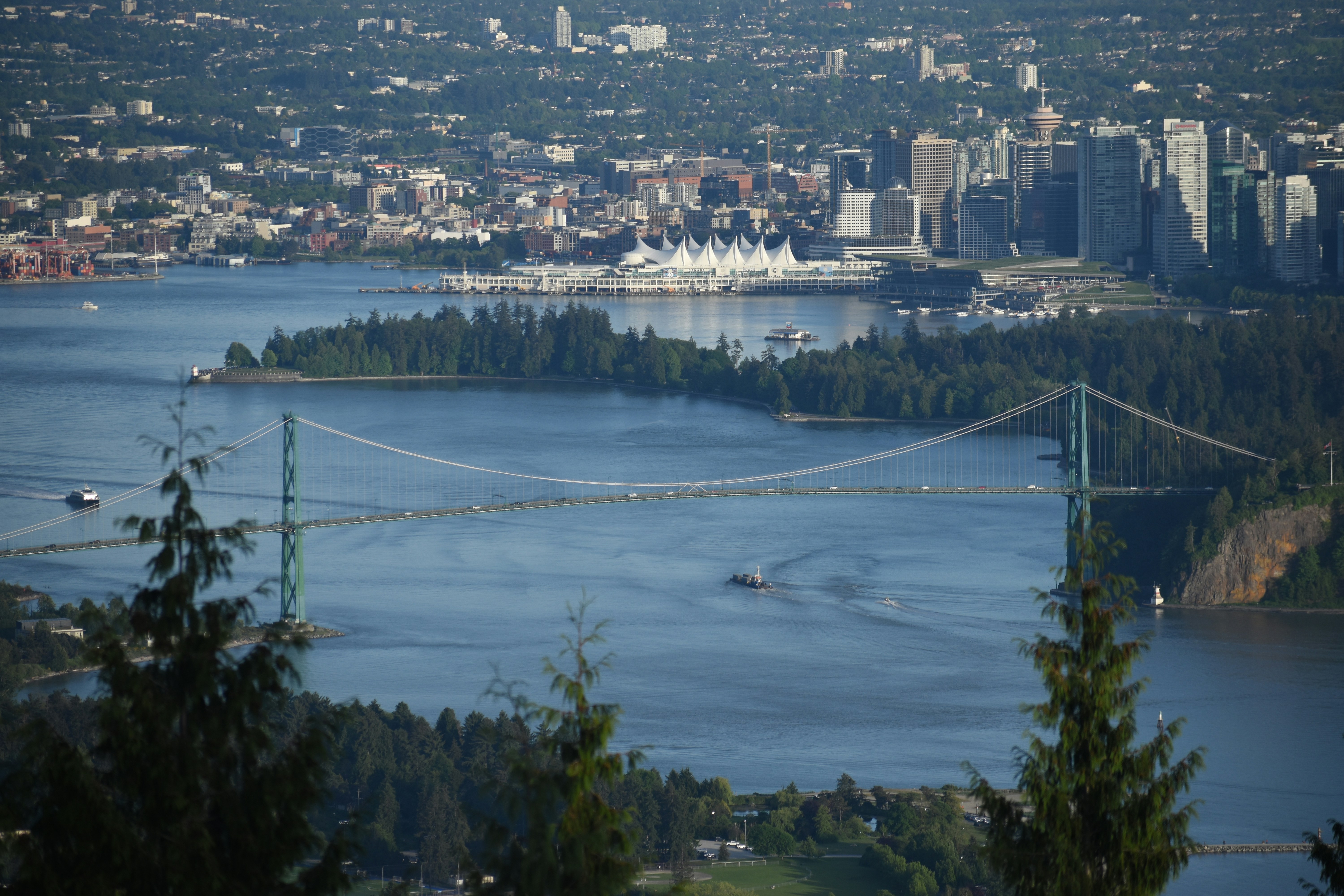 Cityscape Over the Inlet: A Bridge Framing the Waterfront