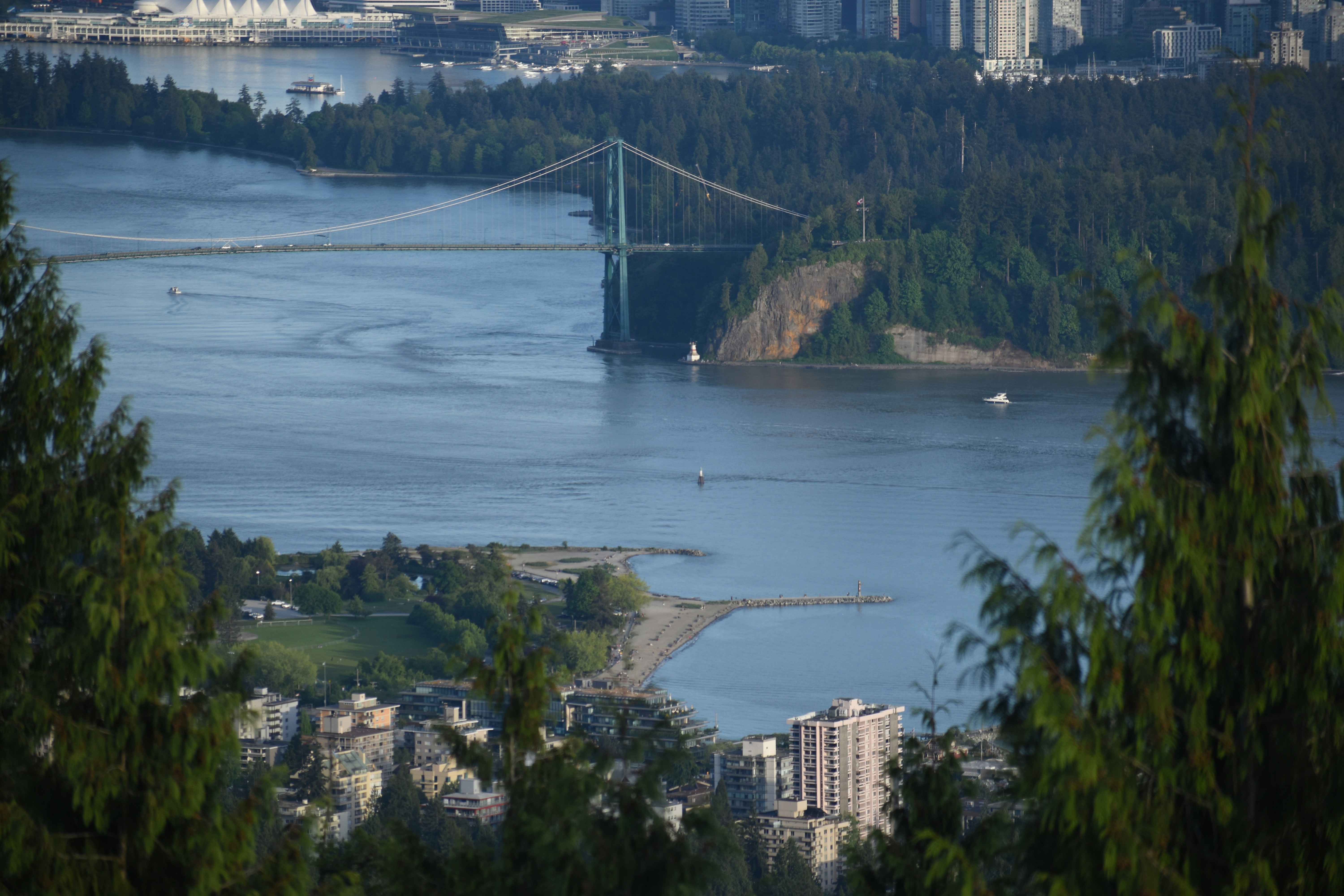 Bridge over blue waters: forested cliffs framing a coastal city