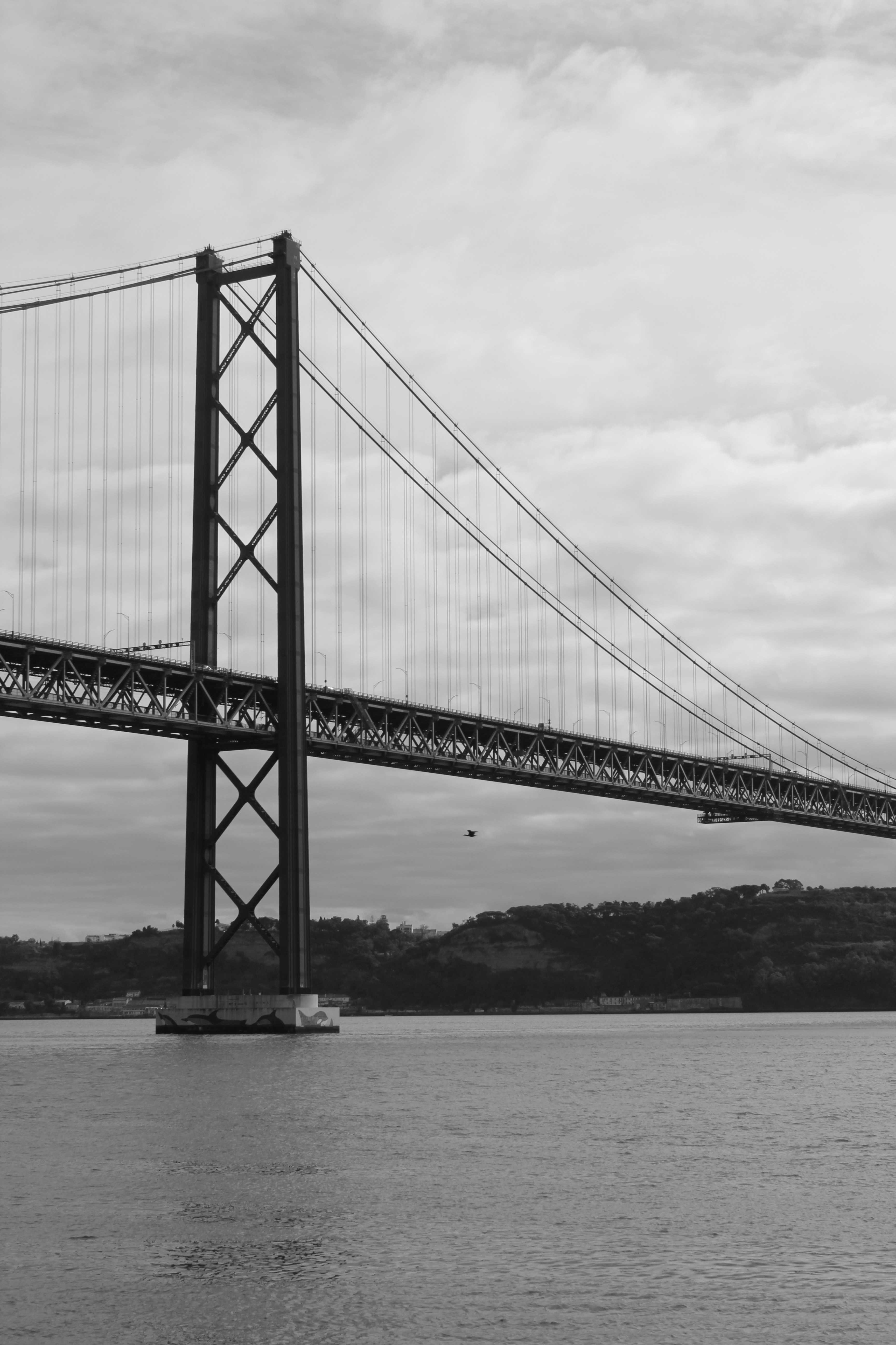 Suspended Lines: A Quiet Ode to a Waterfront Suspension