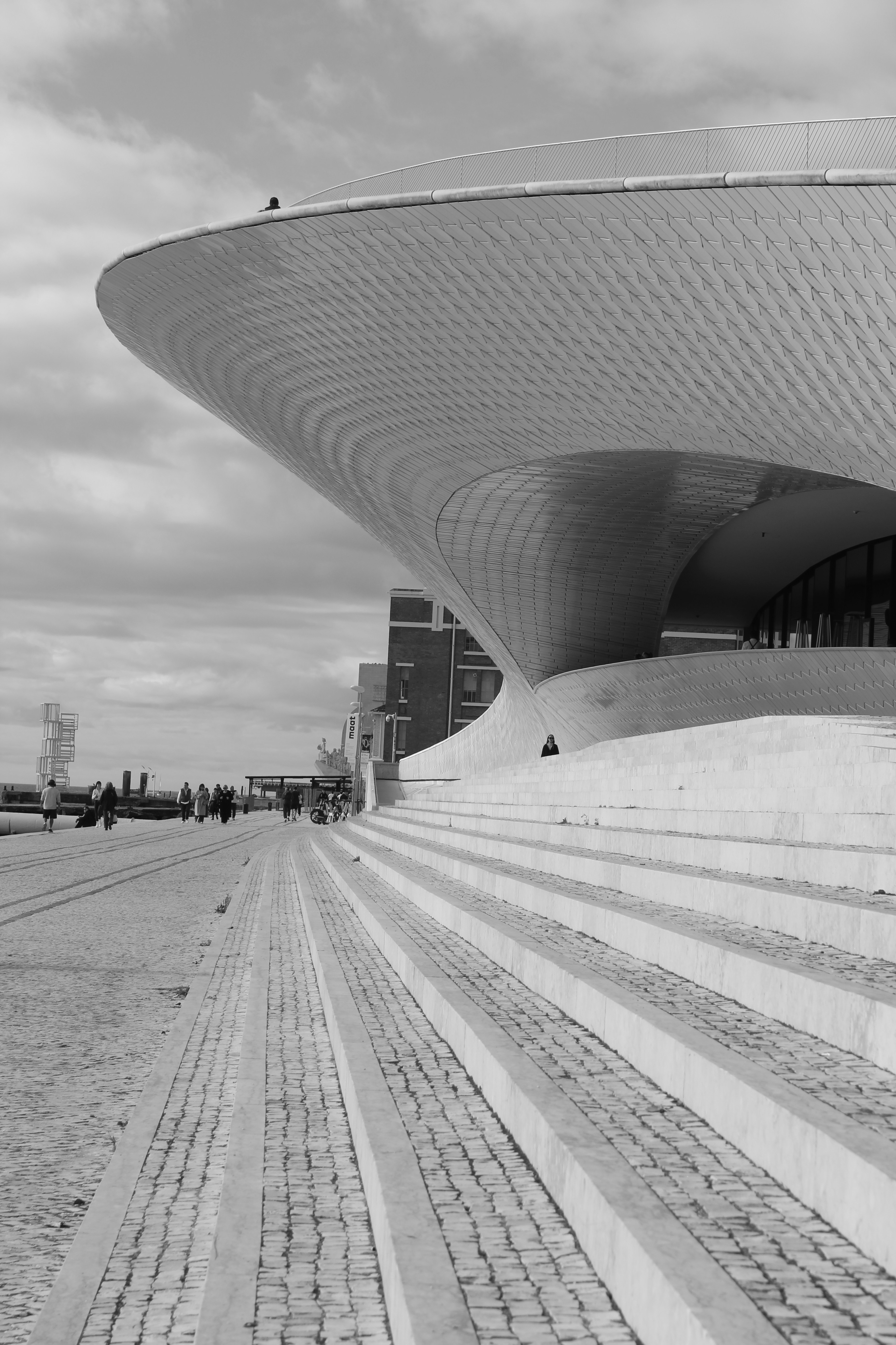Converging Curves: The Avant-Garde Terrace