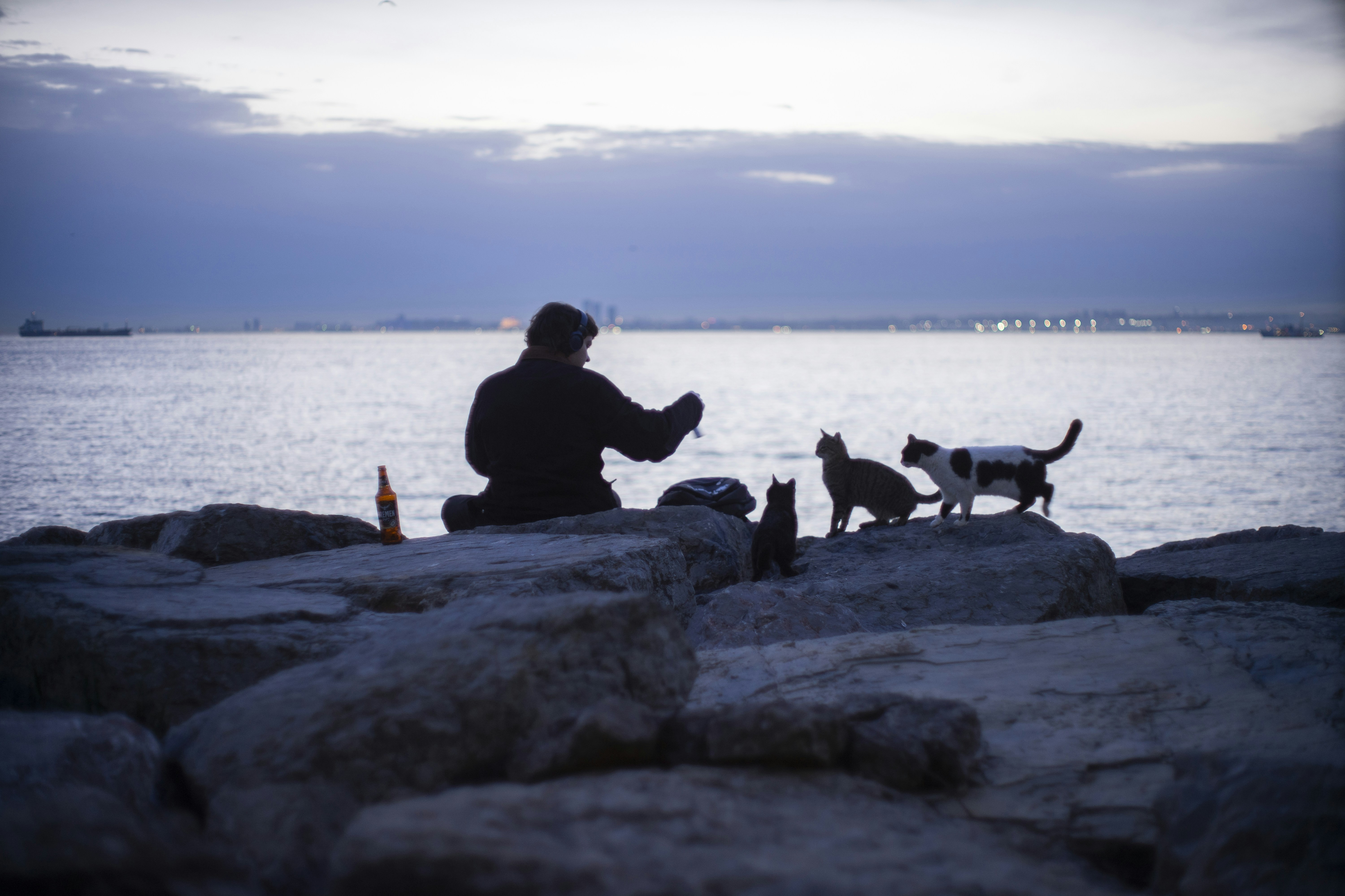Seated Figures and Pups by the Dusked Sea