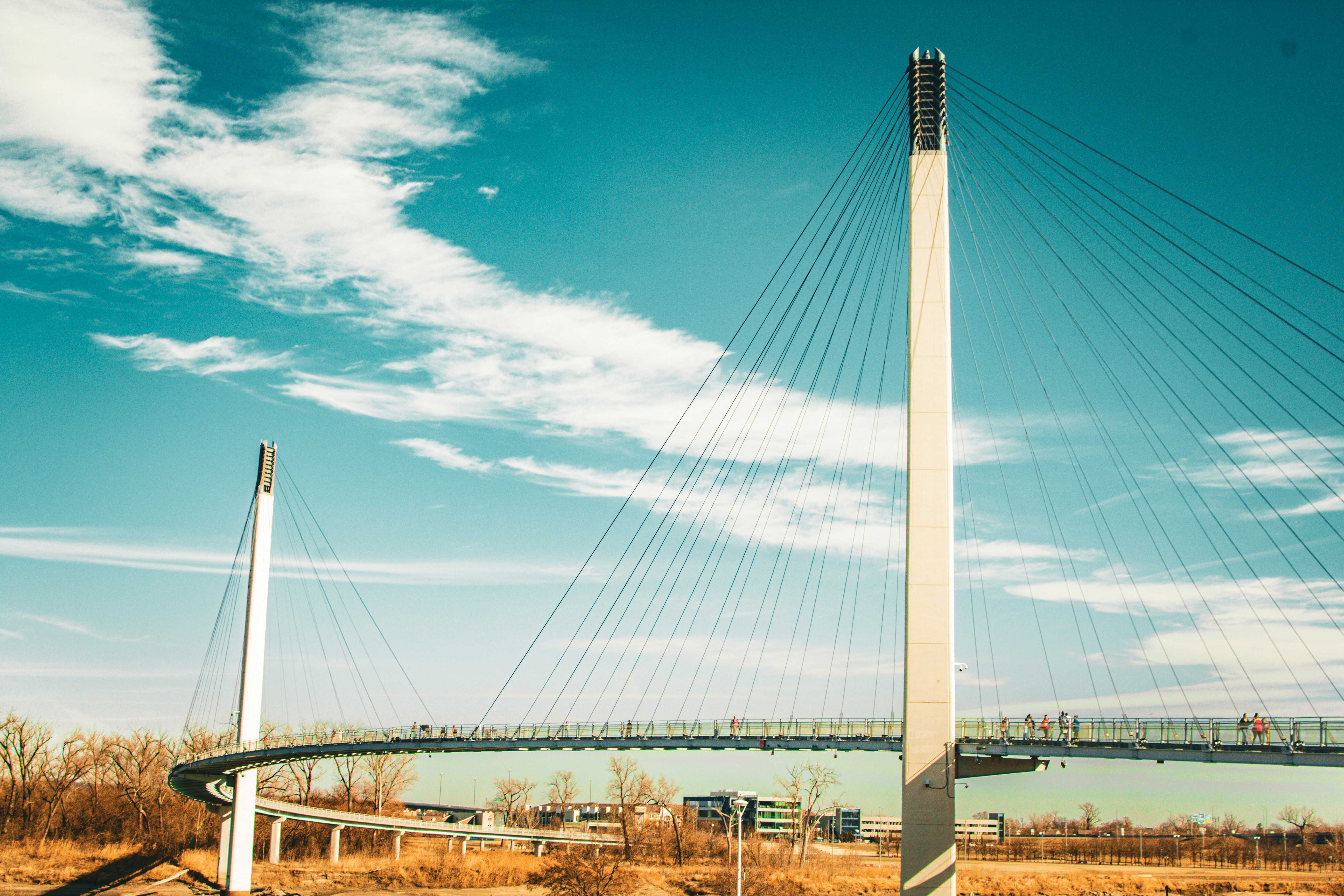 Vertical Sentinel: A Cable-Stayed Bridge Reaches Toward the Sky