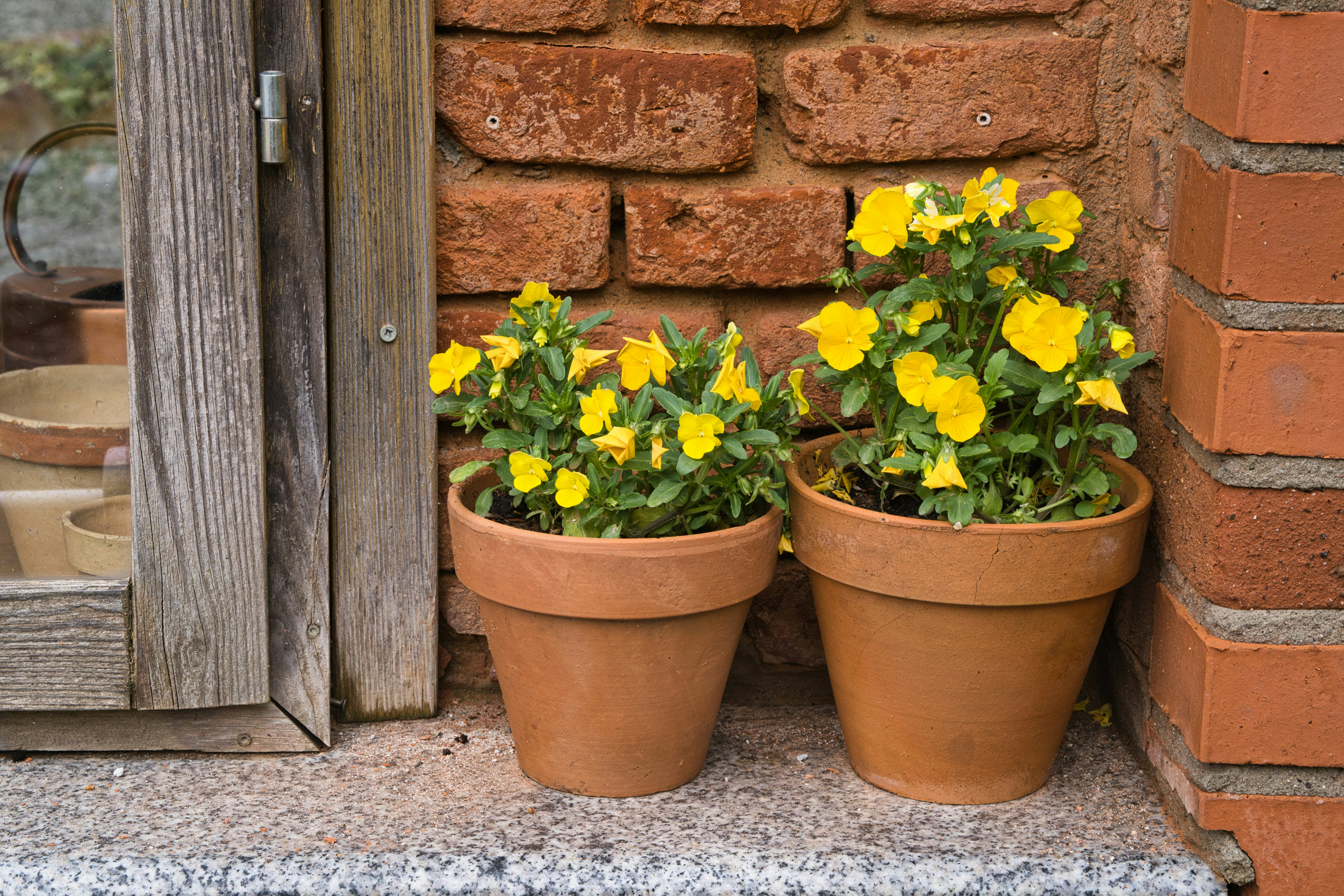 Terracotta Pots in Front of a Brick Wall