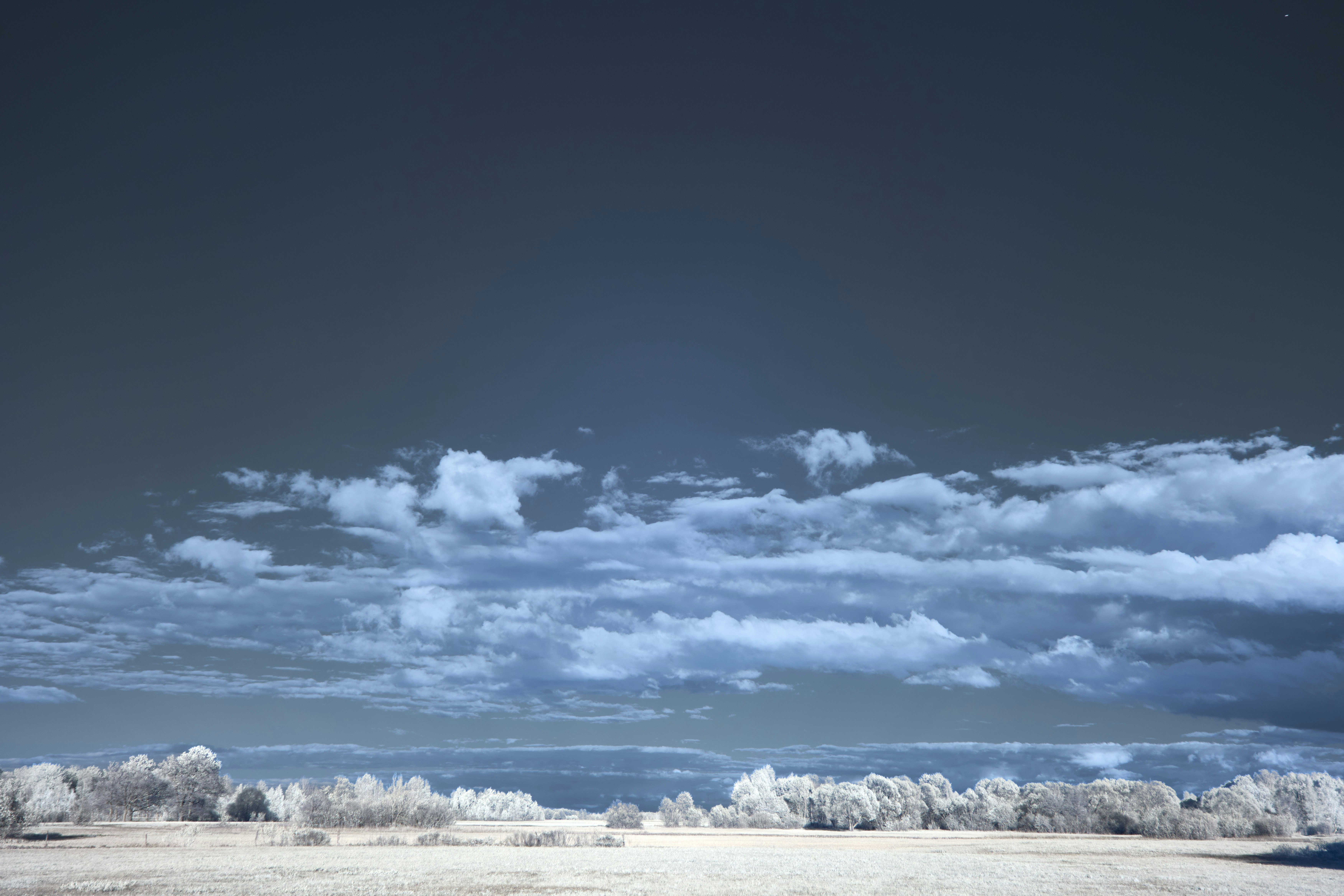 Moonlit Plains Under a Velvet Sky