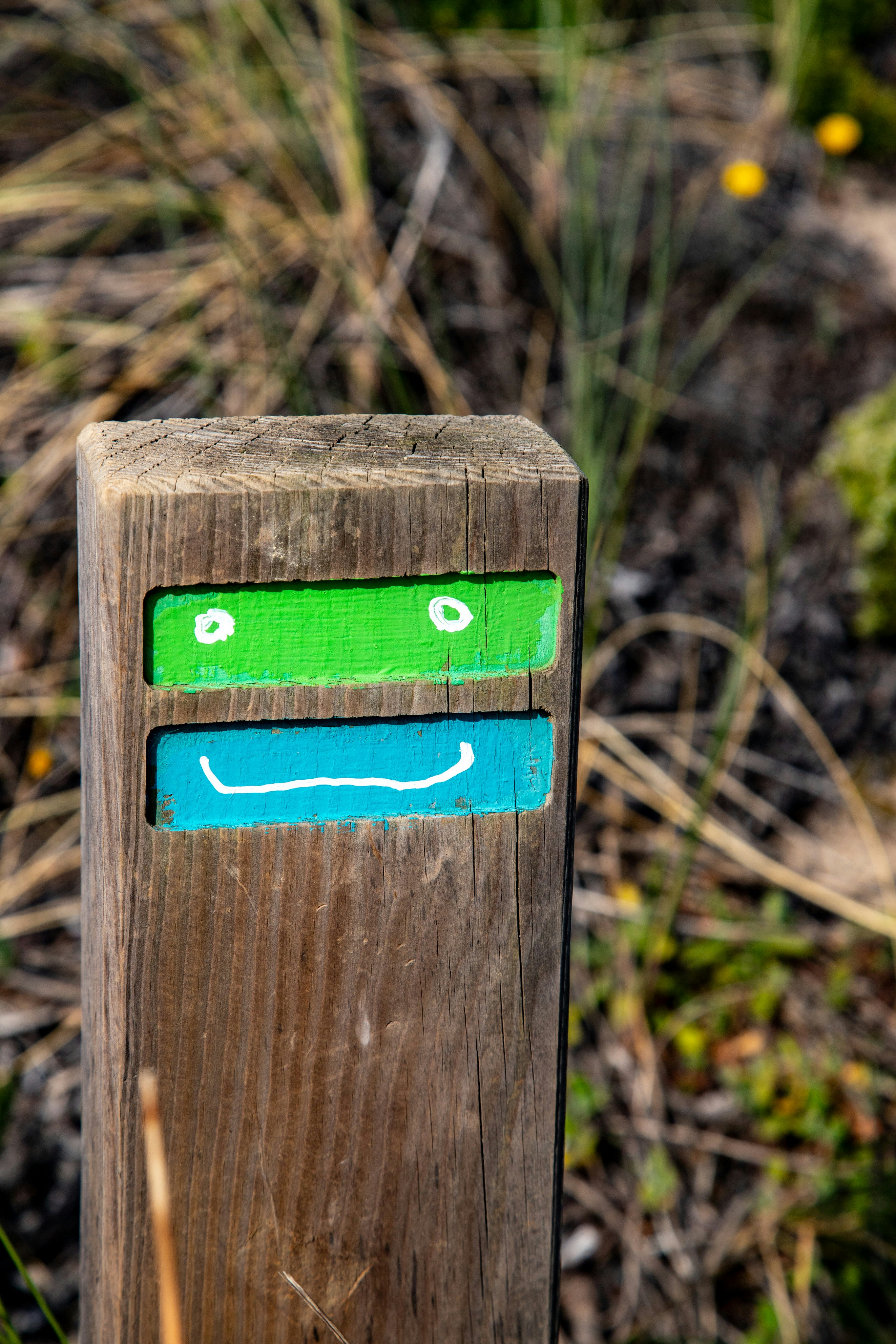 Green and Blue Signpost with Weathered Wood