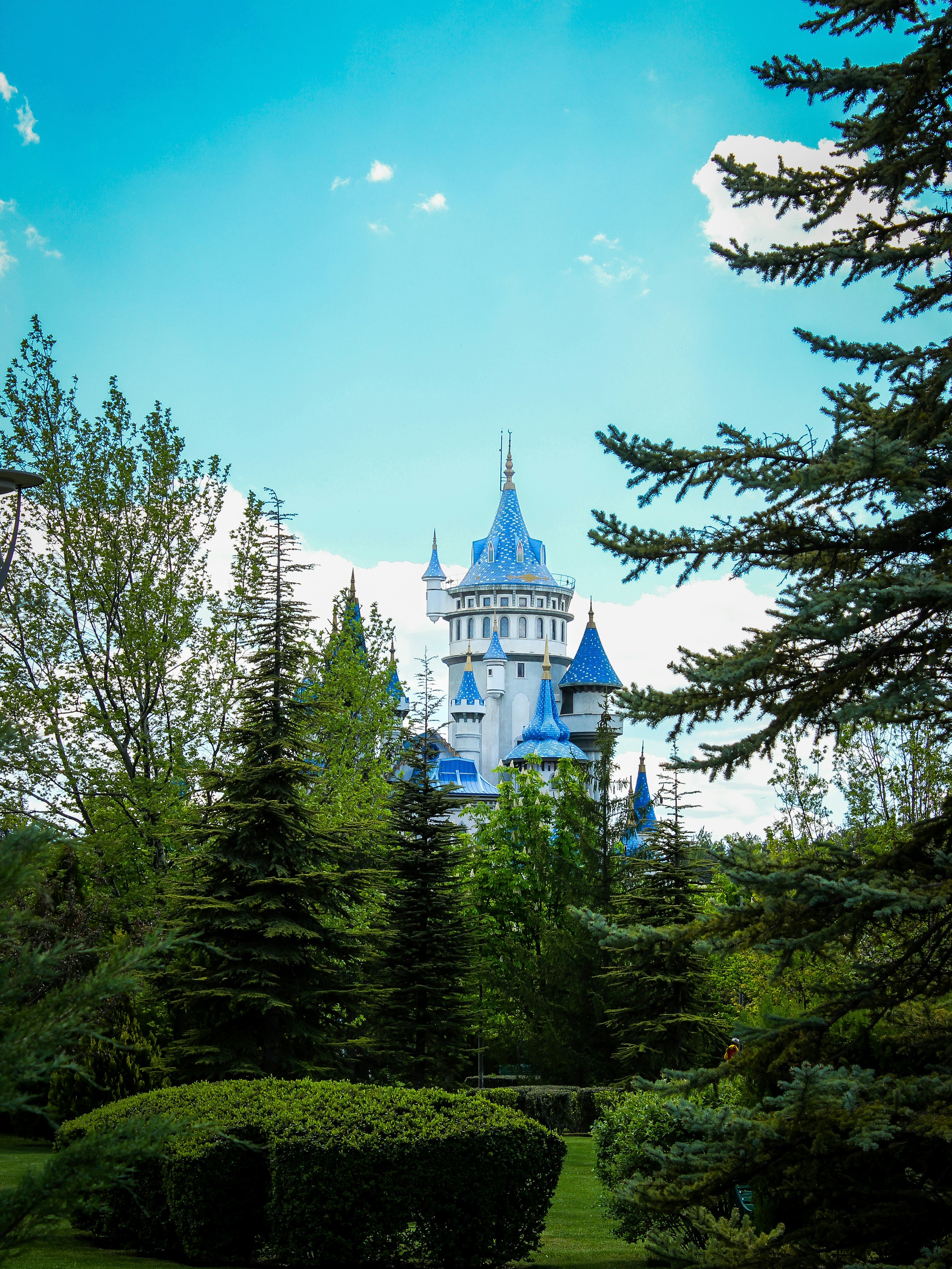 Castle Crest in a Framed Woodland Vista