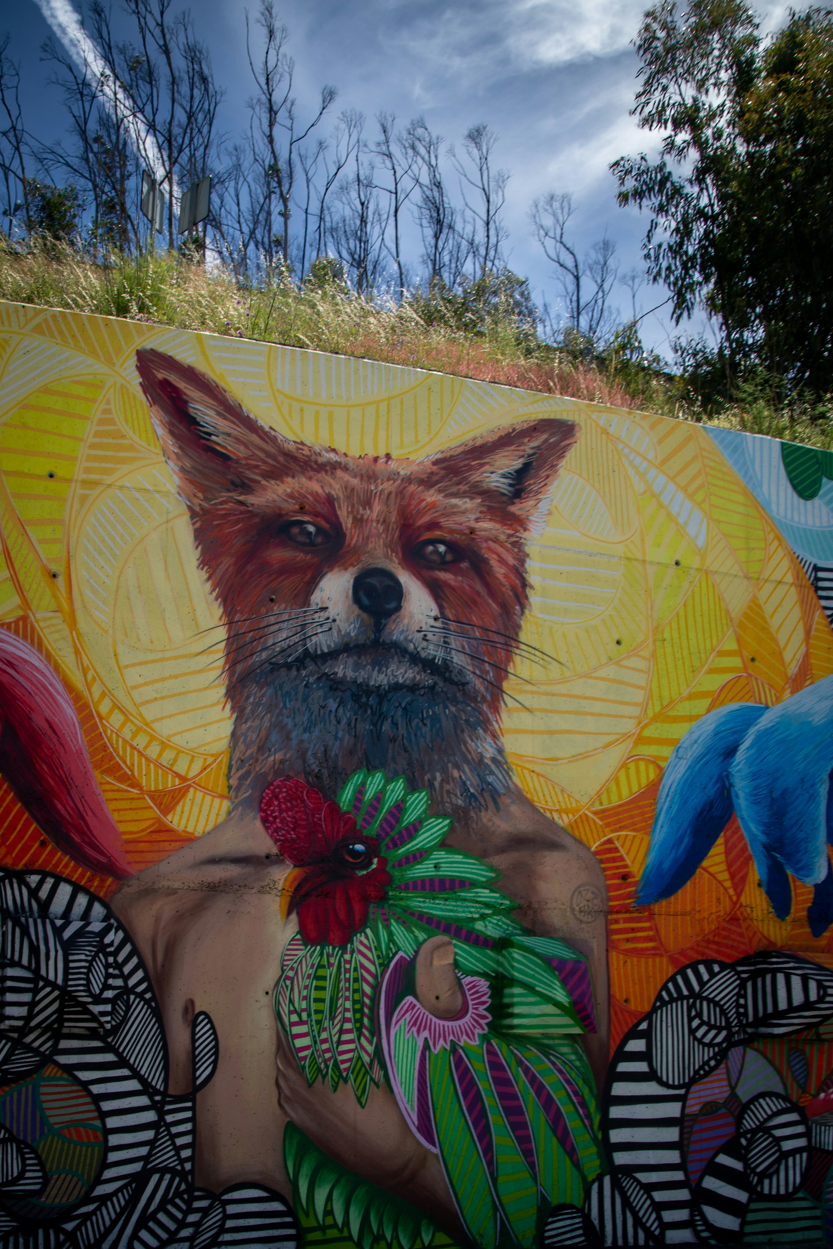 Fox‑Man Portrait: Colorful Street Art with a Human‑Animal Fusion